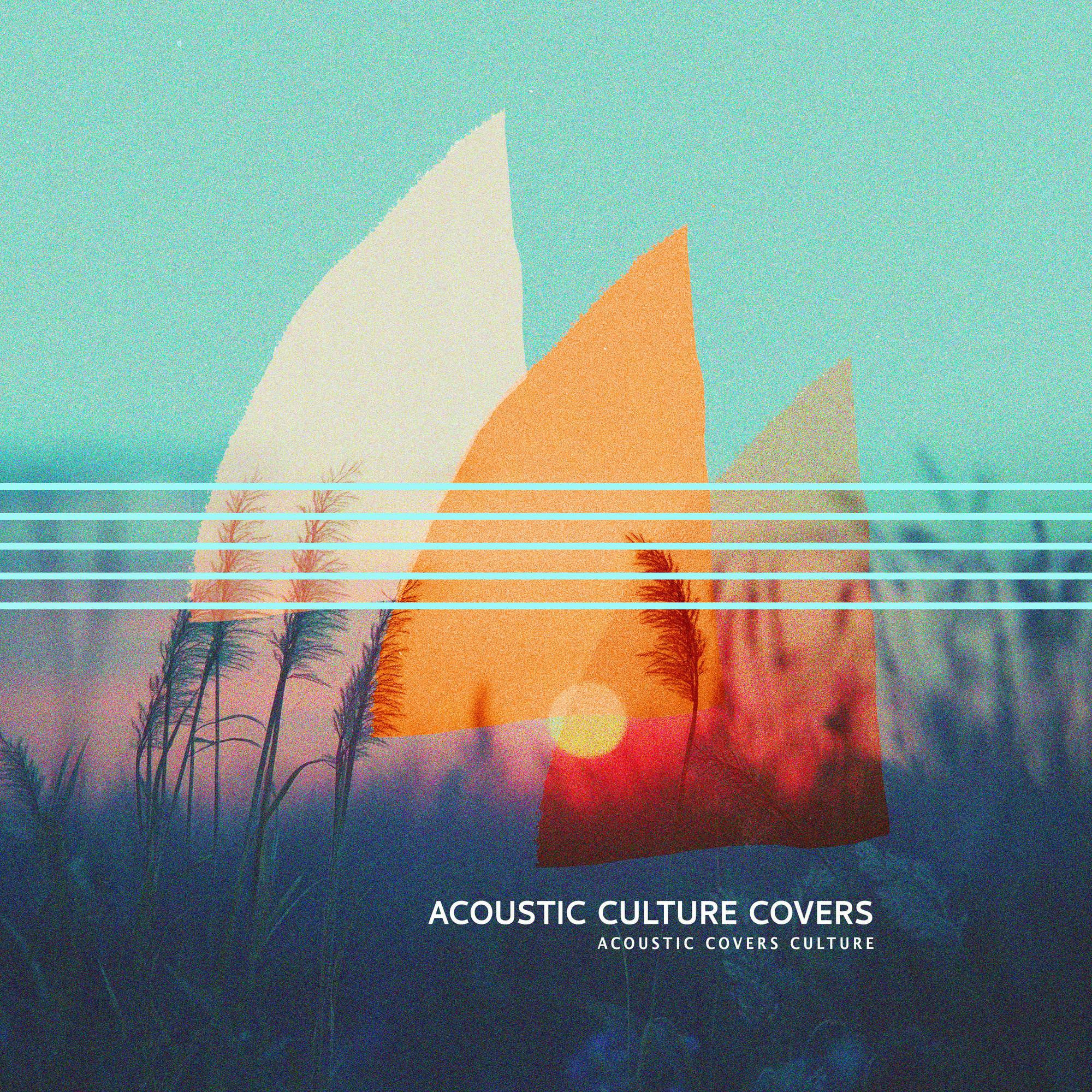 Acoustic Culture Covers - Acoustic Covers Culture - 专辑 - 网易云音乐