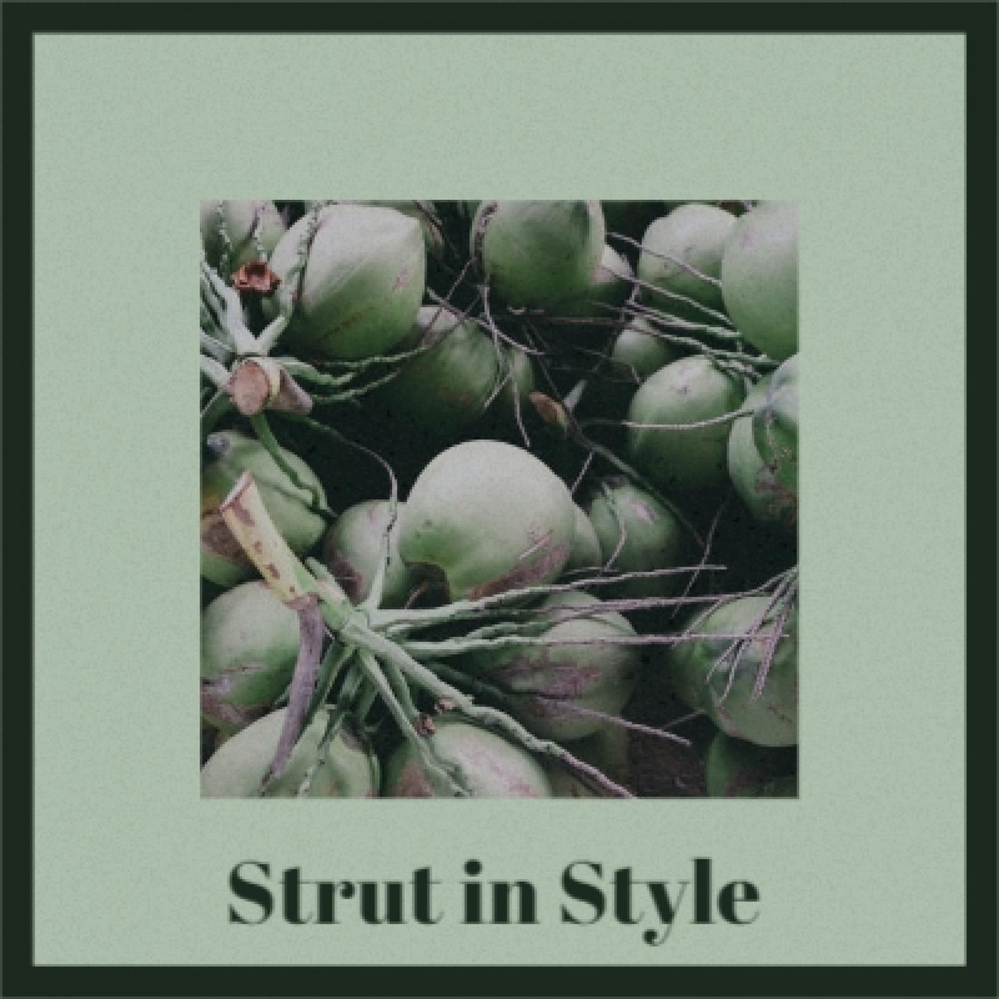 Strut in Style - Jive Ass Sleepers - 单曲 - 网易云音乐