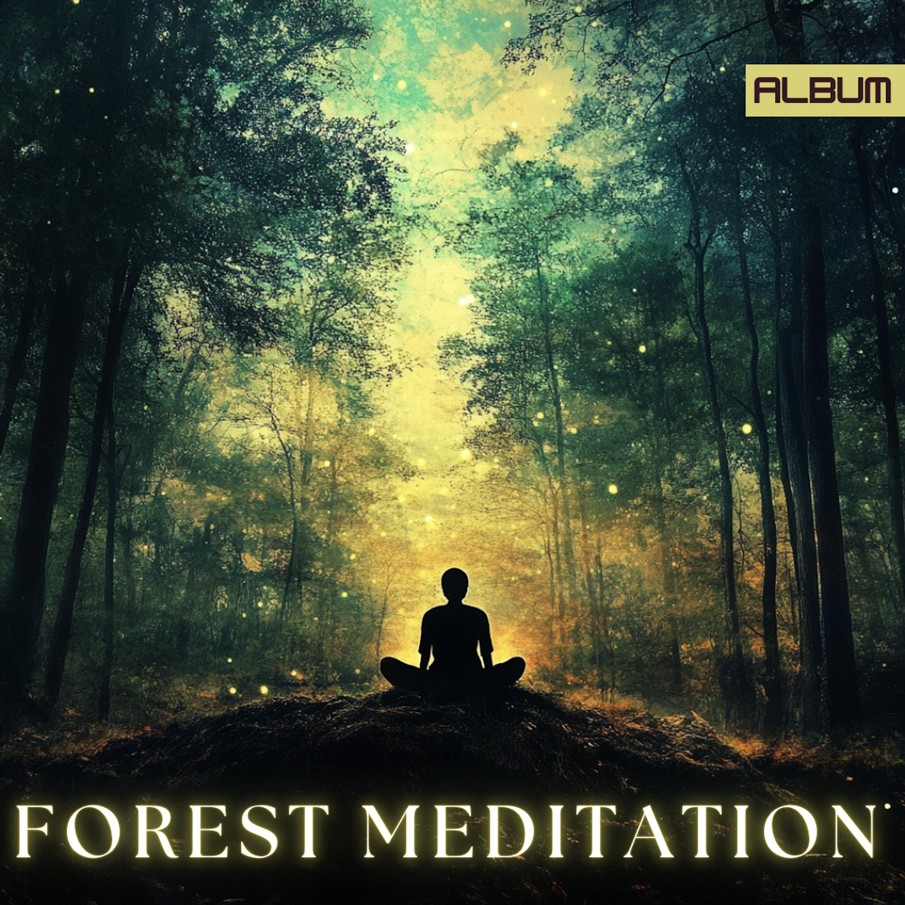 Breathing Trees - Meditation Music for the Soul/Meditation Music ...