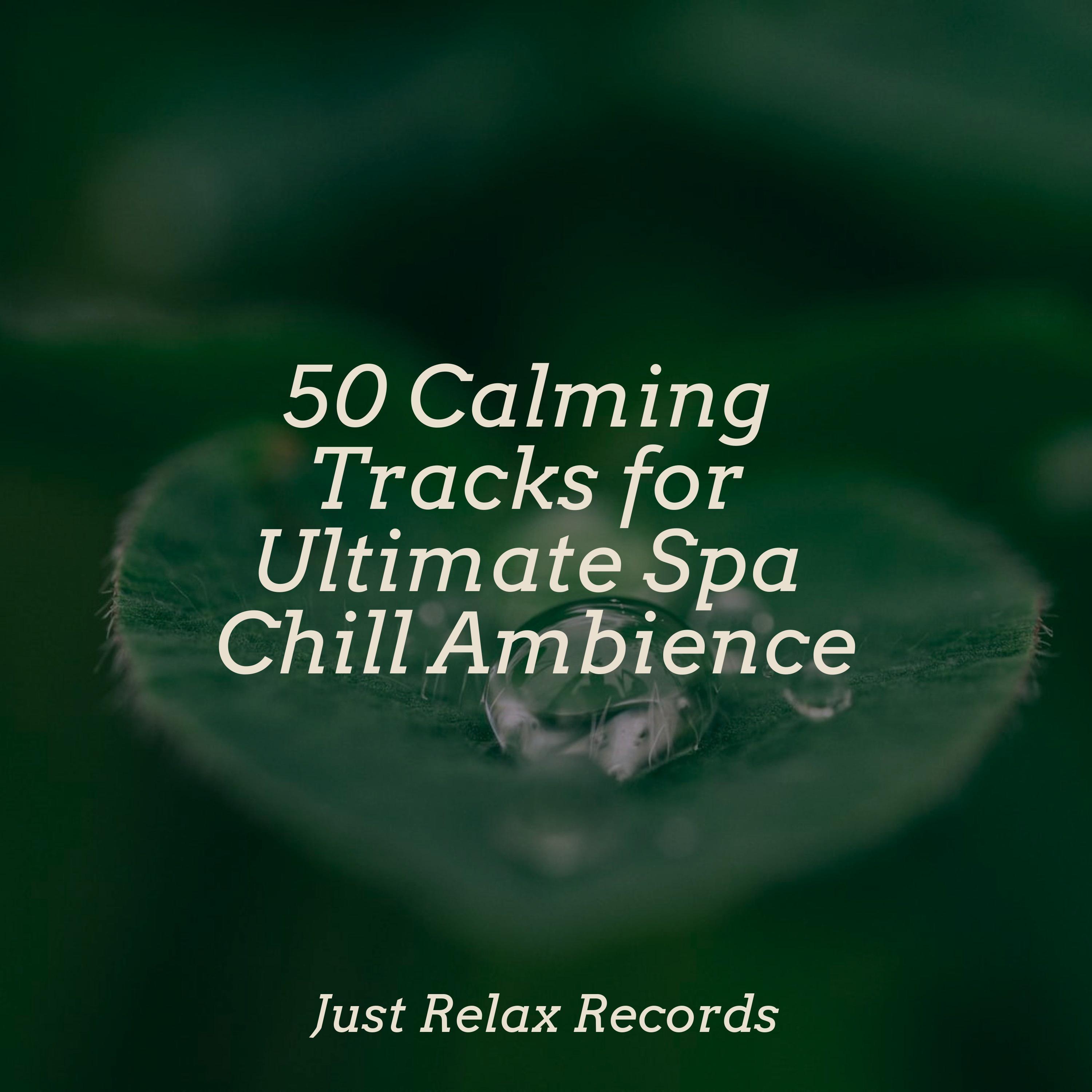 50 Calming Tracks for Ultimate Spa Chill Ambience - Musica Reiki - 专辑 ...