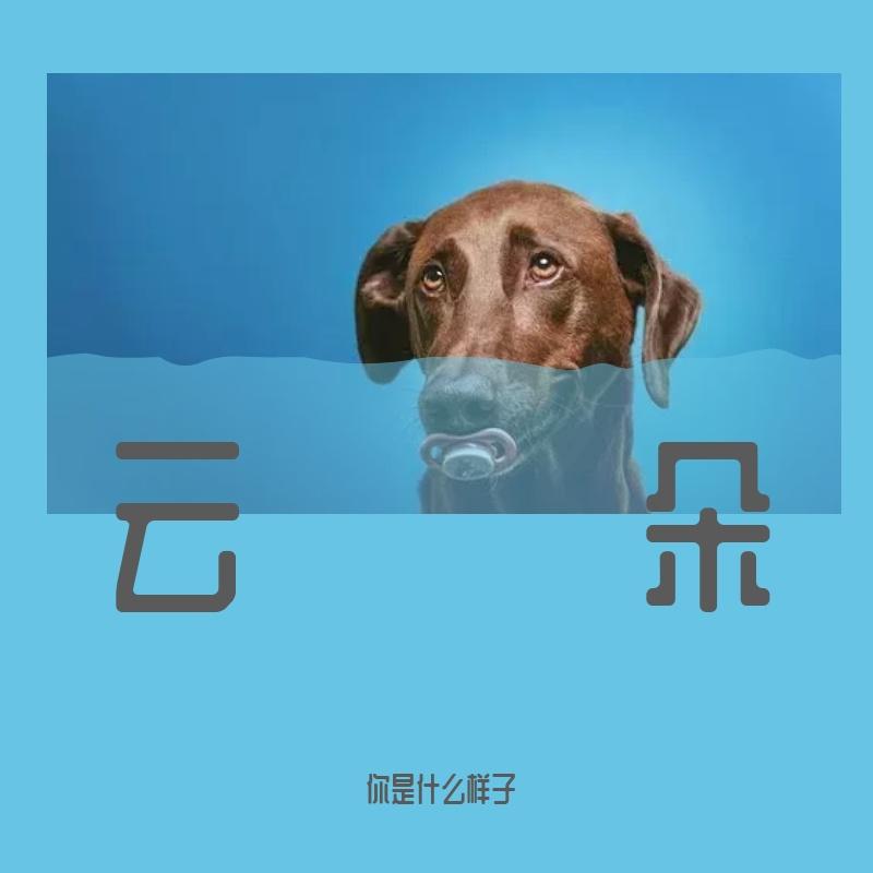 fdhdf - 你是什么样子 - 单曲 - 网易云音乐