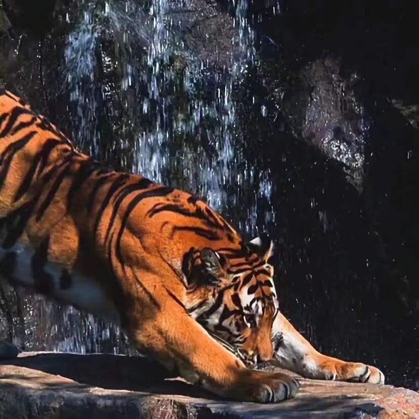 sdfgsd - Free - 单曲 - 网易云音乐