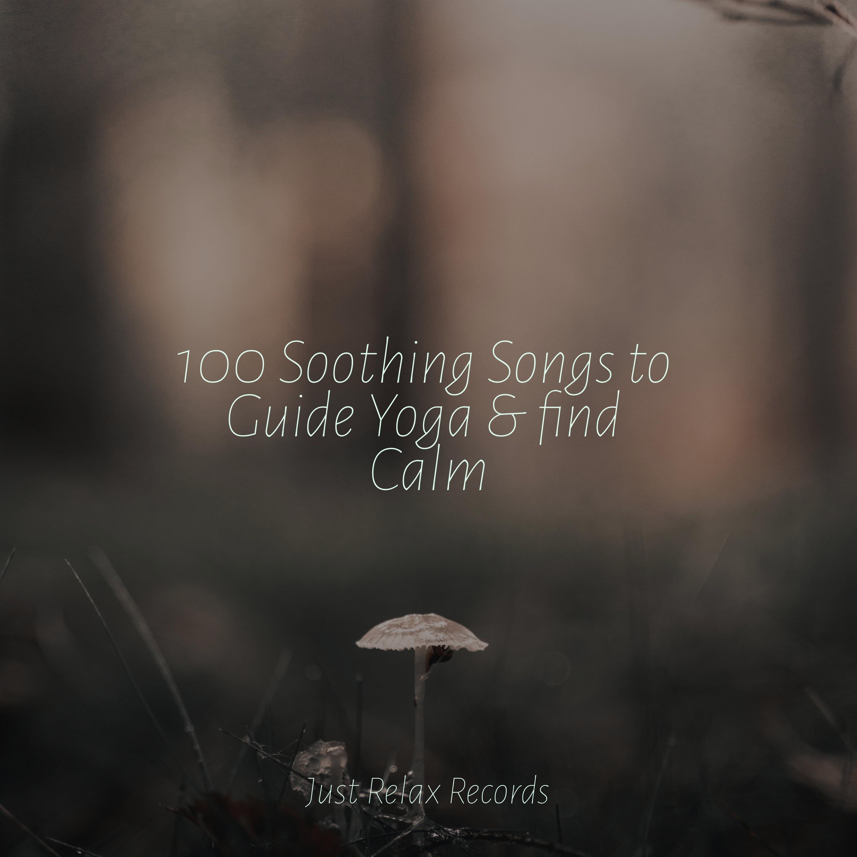 100 Soothing Songs to Guide Yoga & find Calm - Dormir - 专辑 - 网易云音乐