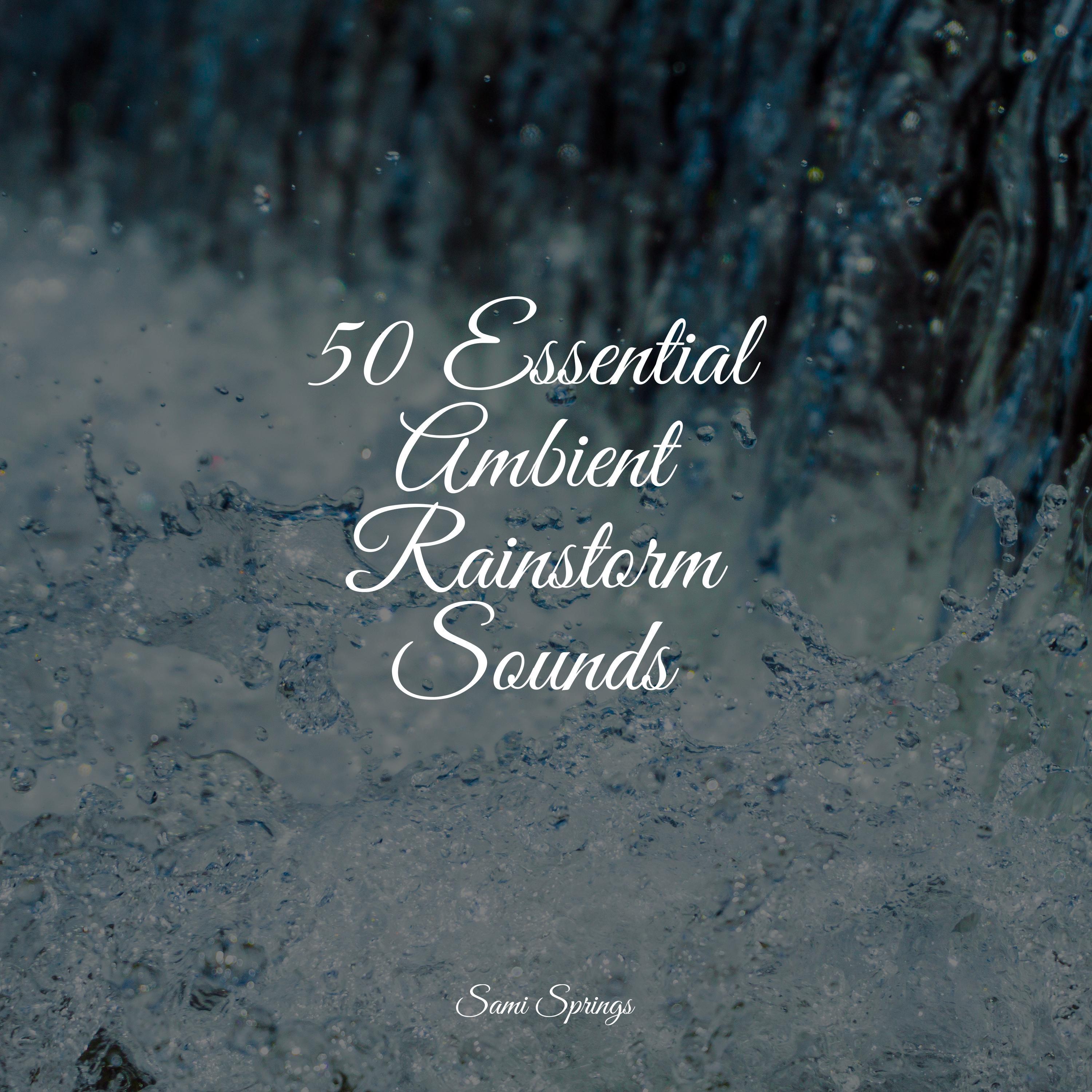 50 Essential Ambient Rainstorm Sounds - Relaxed Minds - 专辑 - 网易云音乐