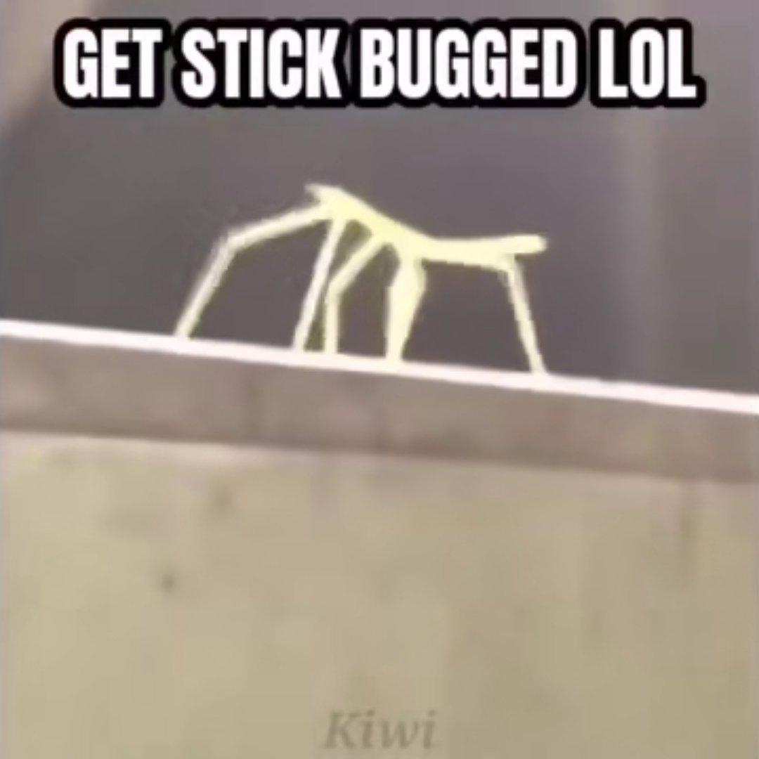 Get stick bugged LoL - 歌单 - 网易云音乐