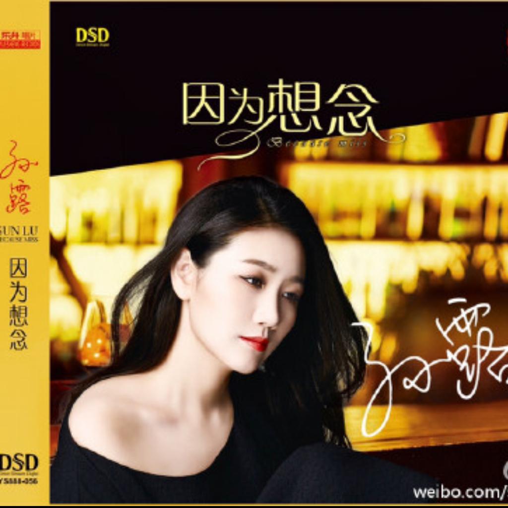 因为想念 DSD 孙露 2016/3/1/第20张专辑WAV - 歌单 - 网易云音乐