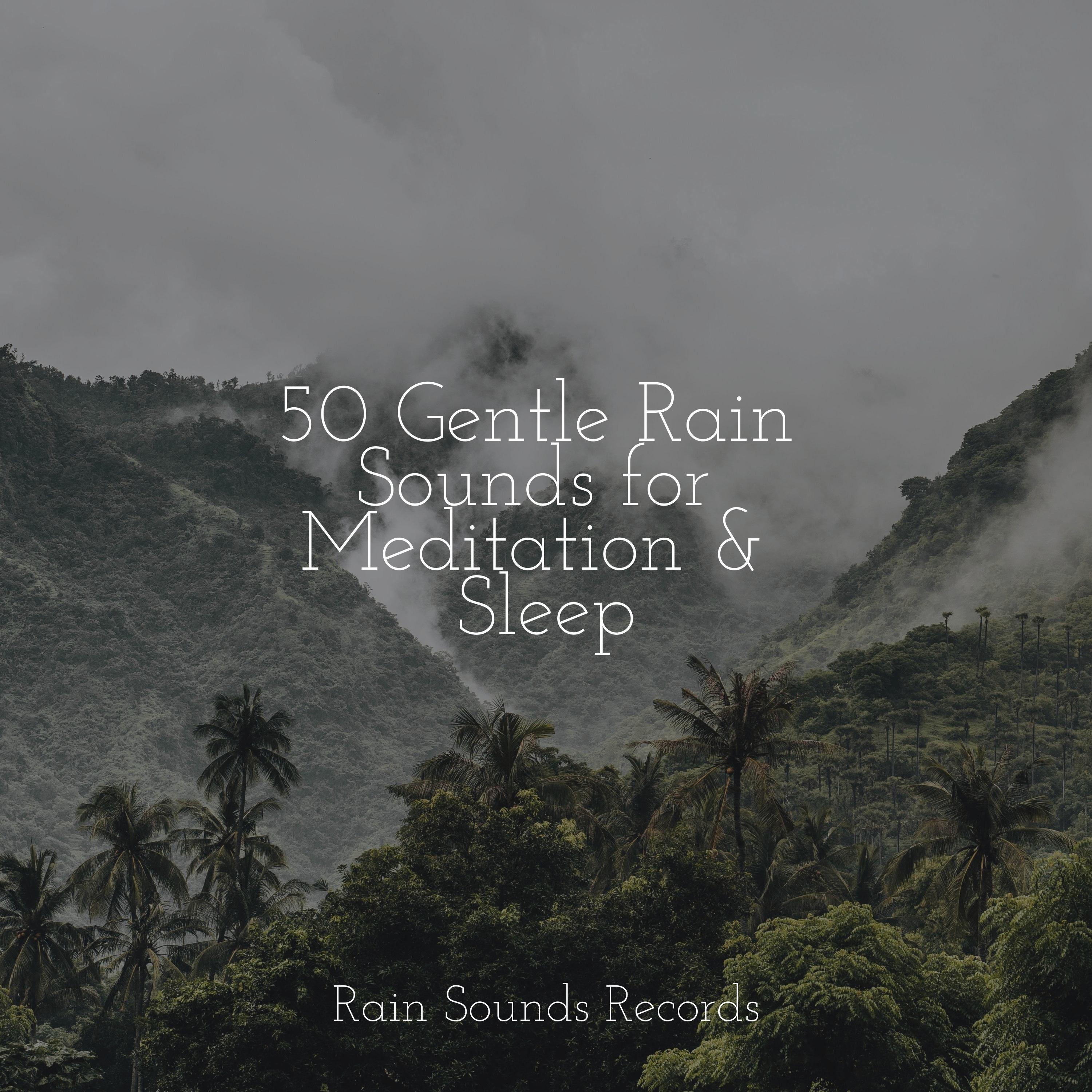 50 Gentle Rain Sounds for Meditation & Sleep - Pro Sound Effects ...
