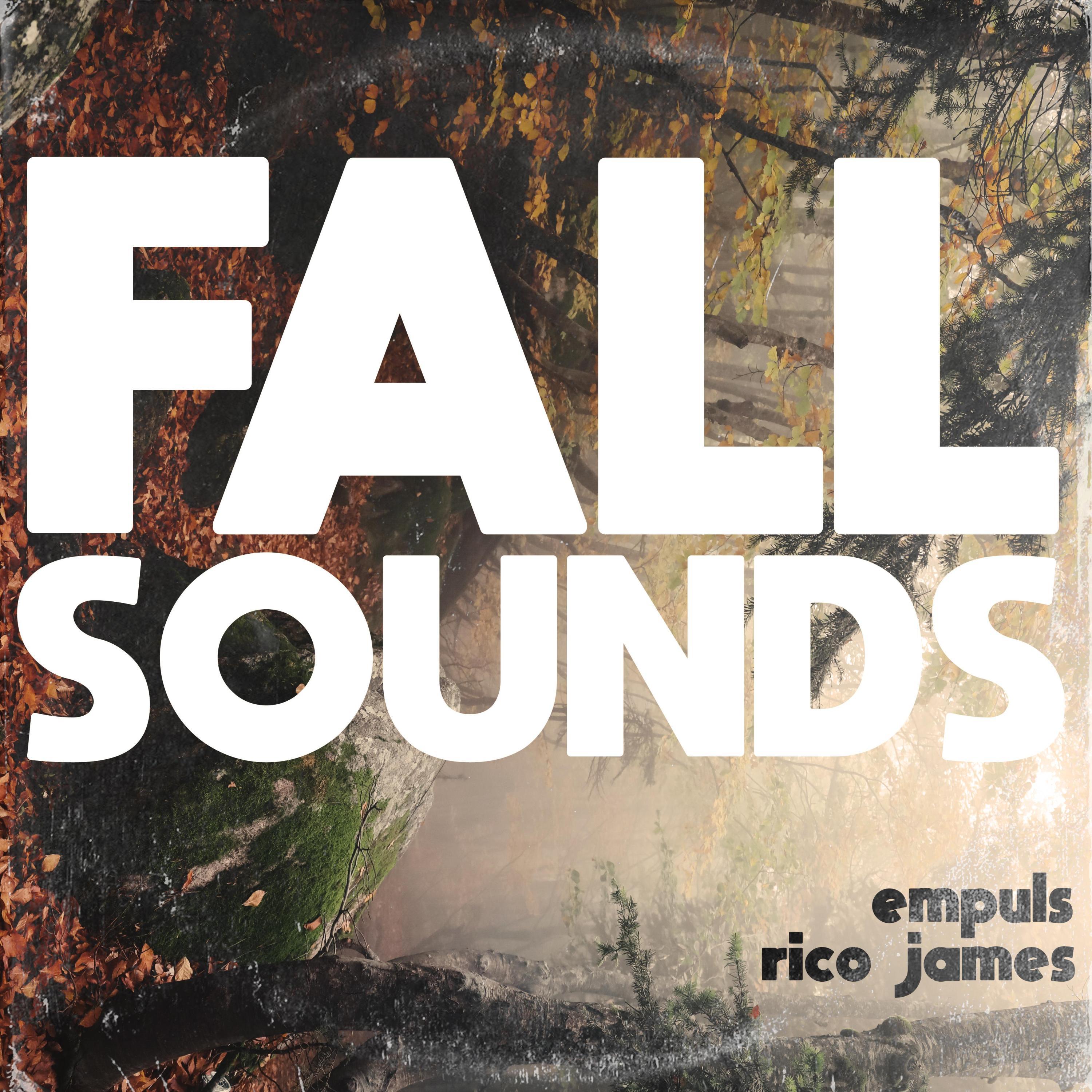 Fall Sounds - Empuls - 专辑 - 网易云音乐