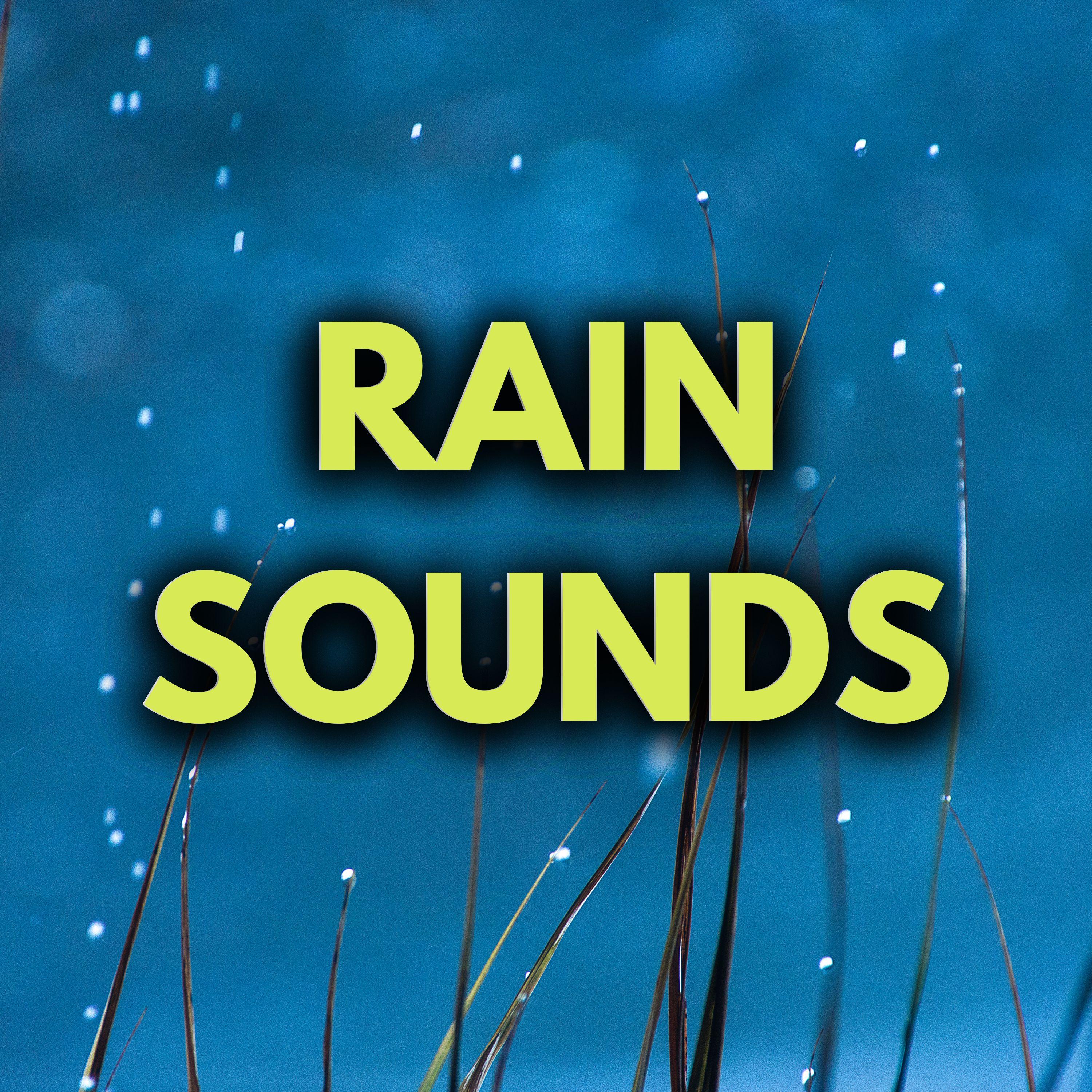 White Noise Rain Background - Nature Sounds for Sleep and Relaxation ...