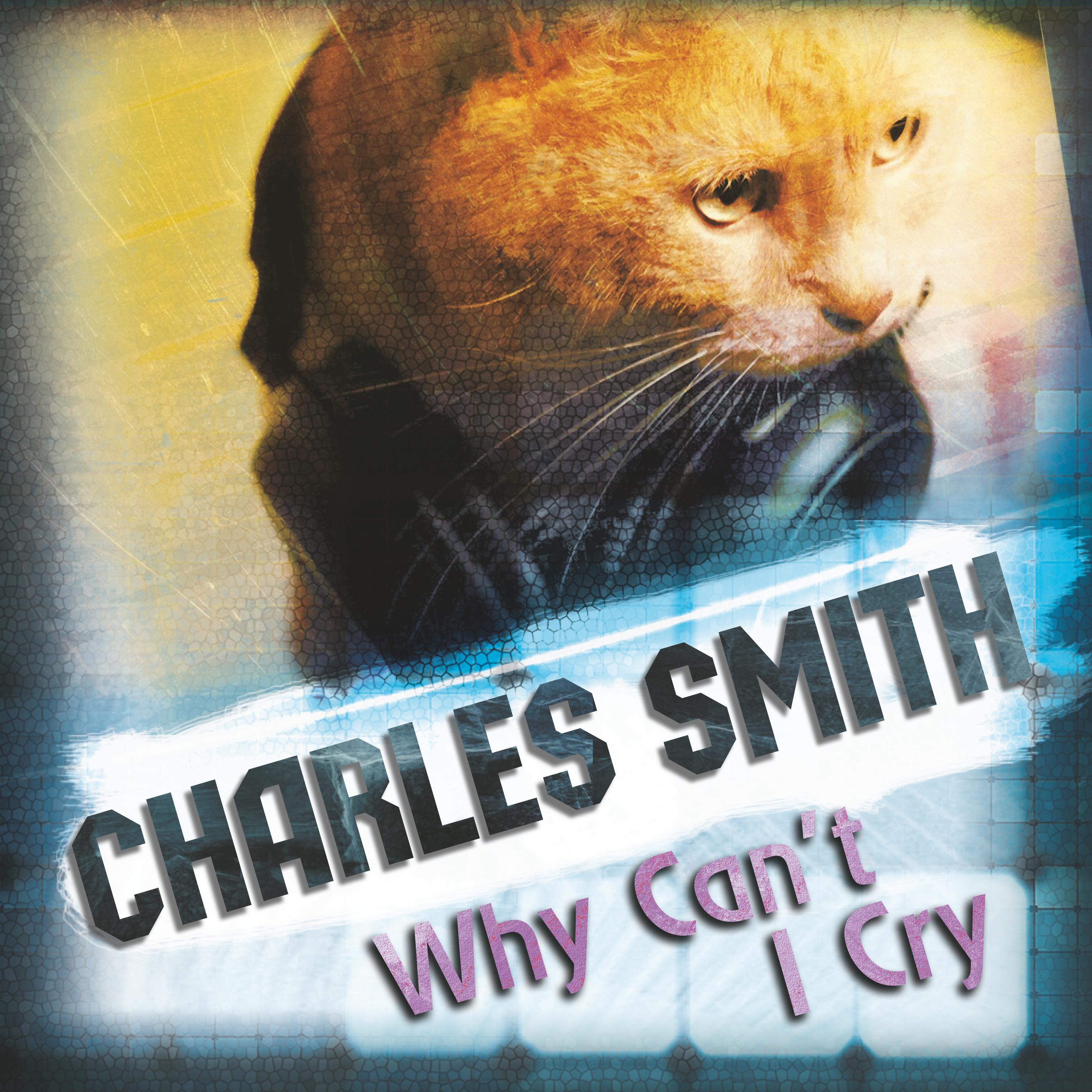 Full Time Fool - Charles Smith - 单曲 - 网易云音乐