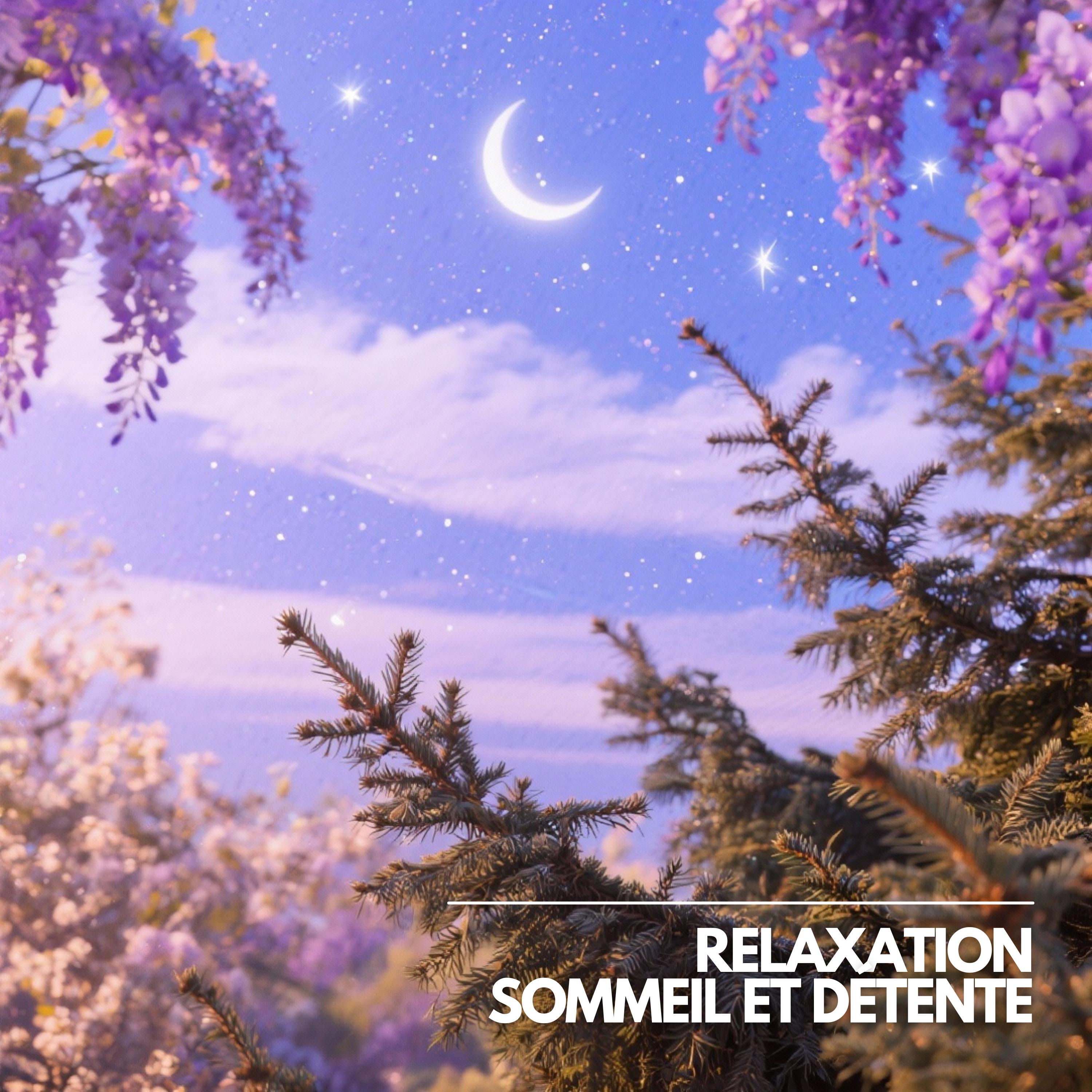 Esprit Calme Battements Binauraux - Musique Calme et Relaxation - 专辑 ...