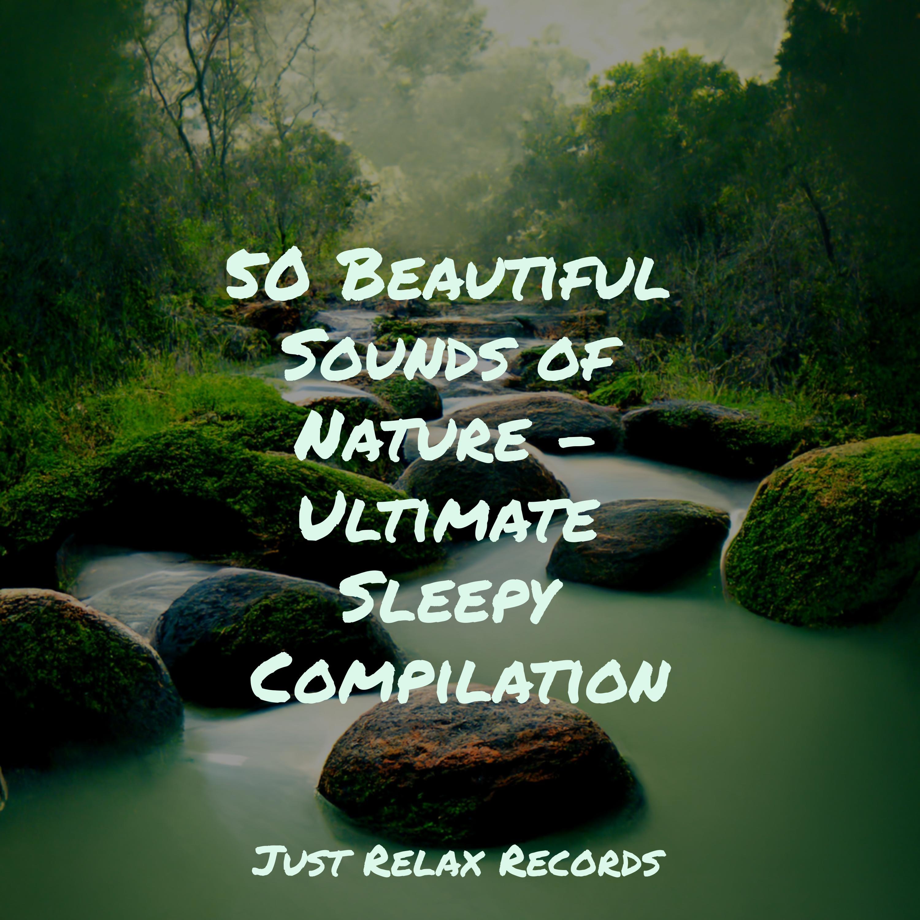 50 Beautiful Sounds of Nature - Ultimate Sleepy Compilation - Deep ...