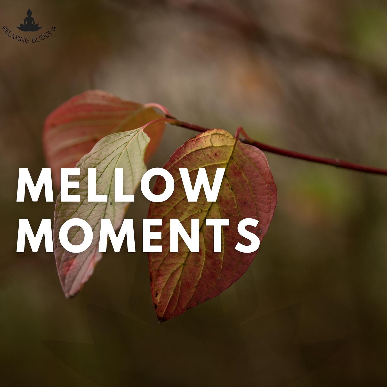 Mellow Moments (Ocean) - Relaxing Buddha/Meditation And Affirmations ...