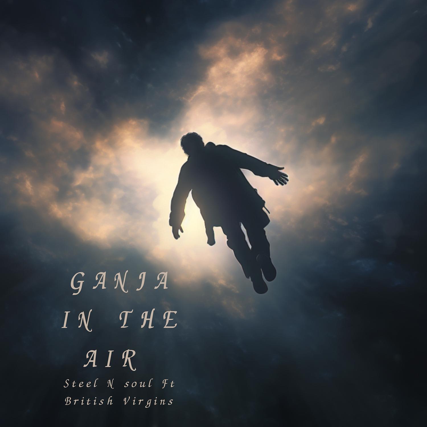 Ganja in the Air - Steel N Soul - 专辑 - 网易云音乐