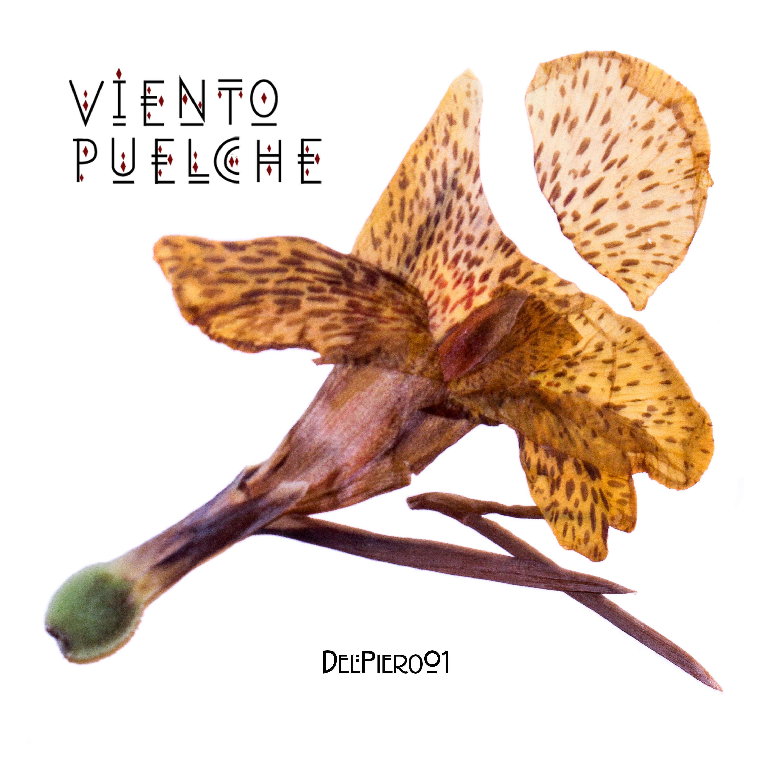 Viento Puelche - DelPierø01 - 专辑 - 网易云音乐
