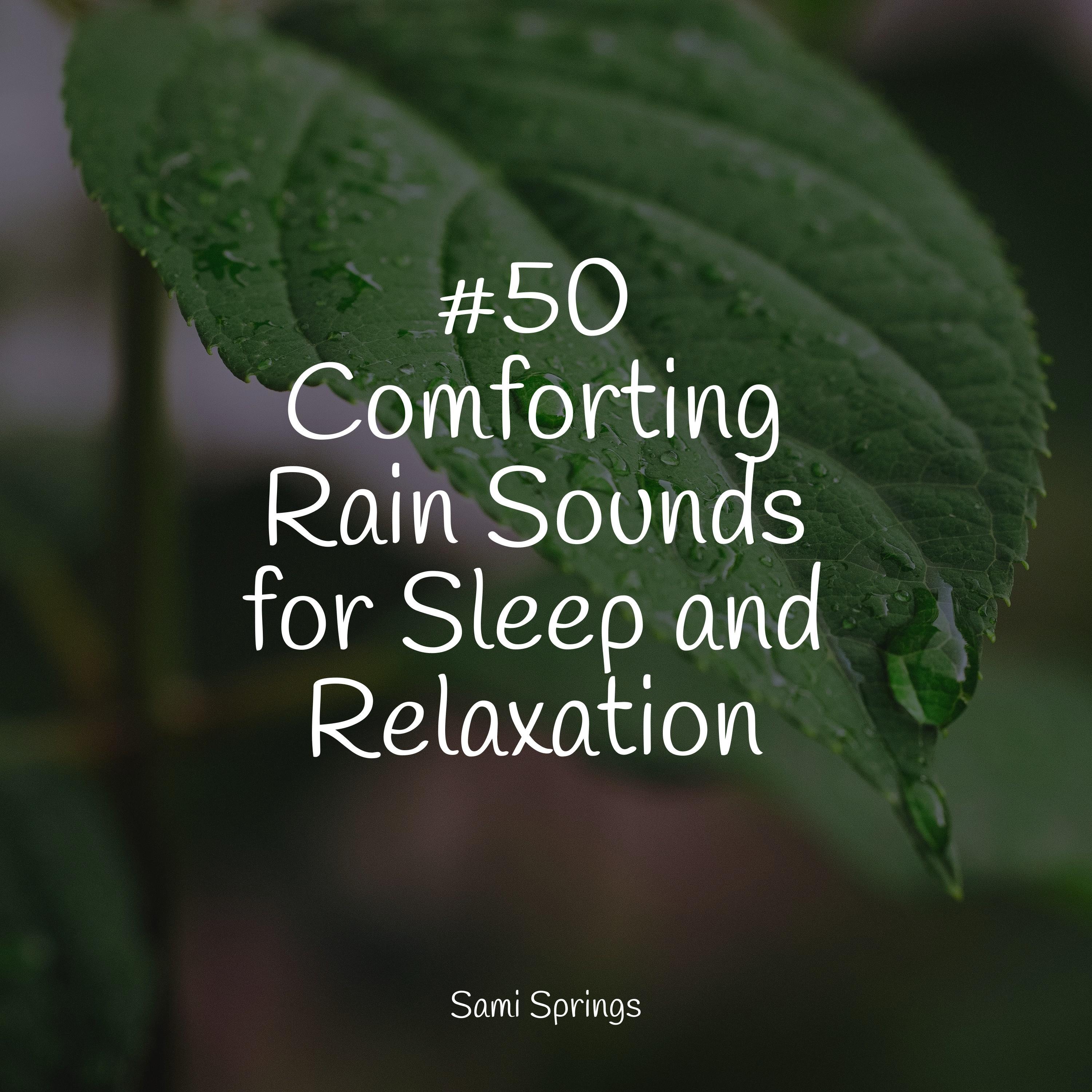 #50 Comforting Rain Sounds for Sleep and Relaxation - Musique Zen ...