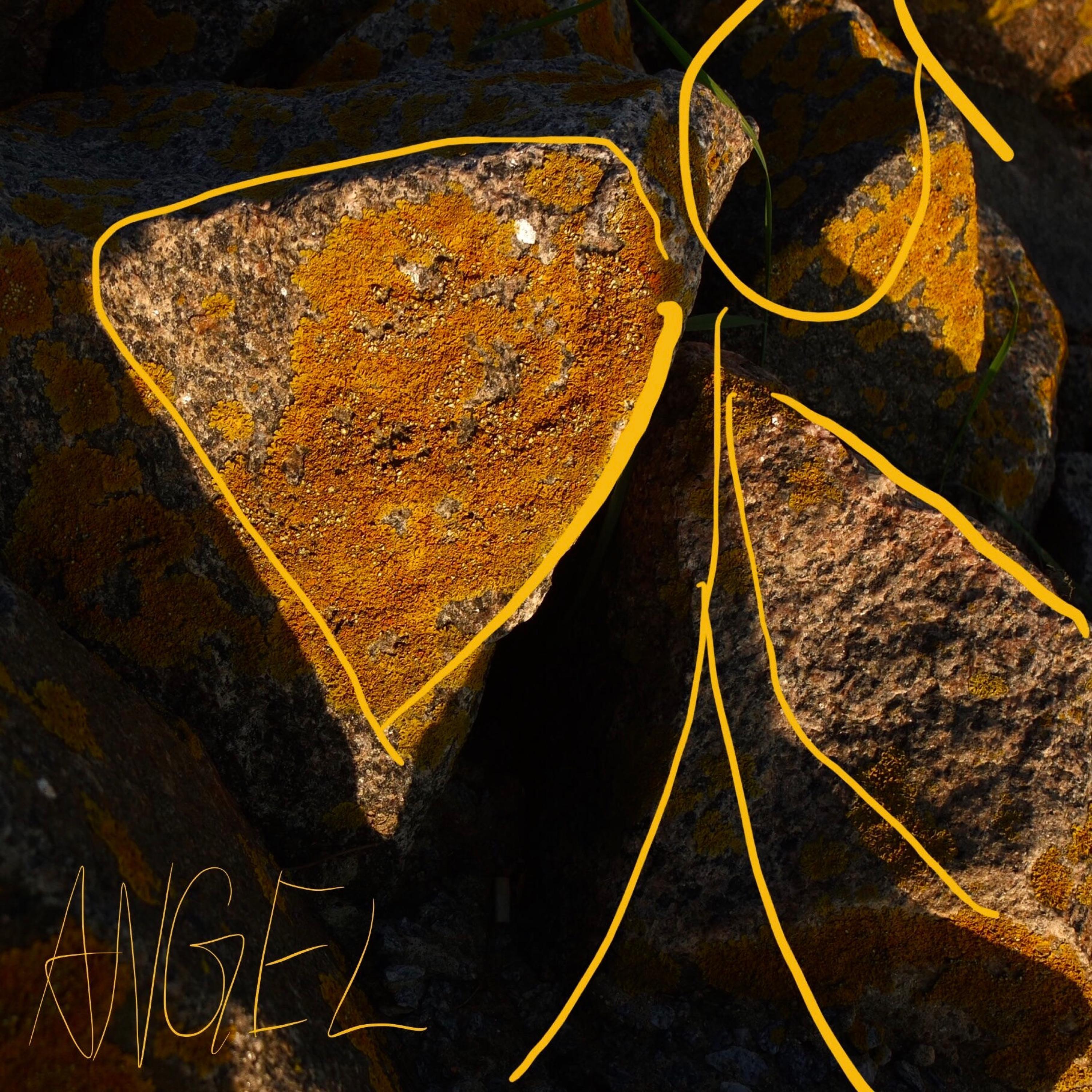 My Angel - Rob Miru - 单曲 - 网易云音乐