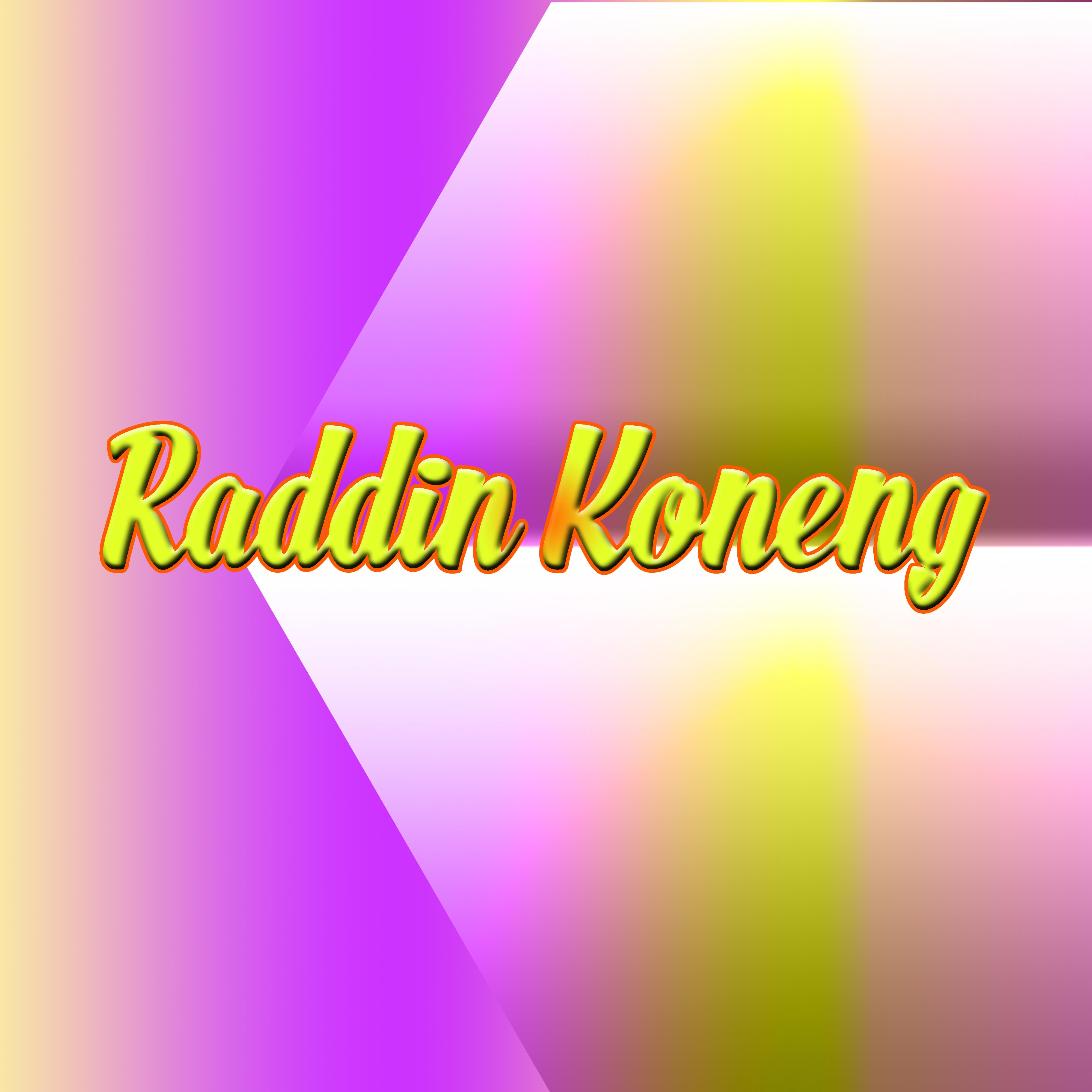 Raddin Koneng - Various Artists - 专辑 - 网易云音乐