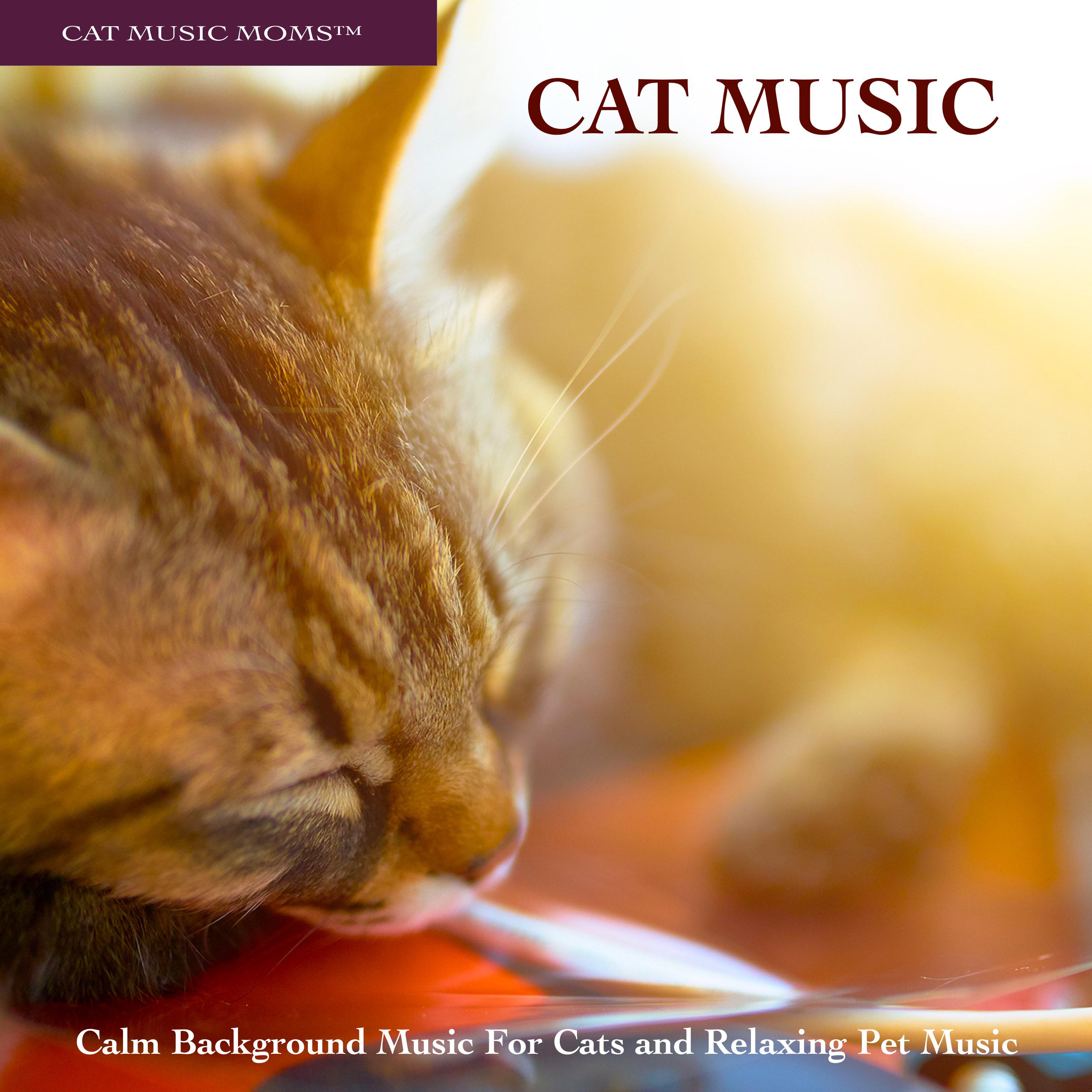Music For Cats - Cat Music Moms - 单曲 - 网易云音乐
