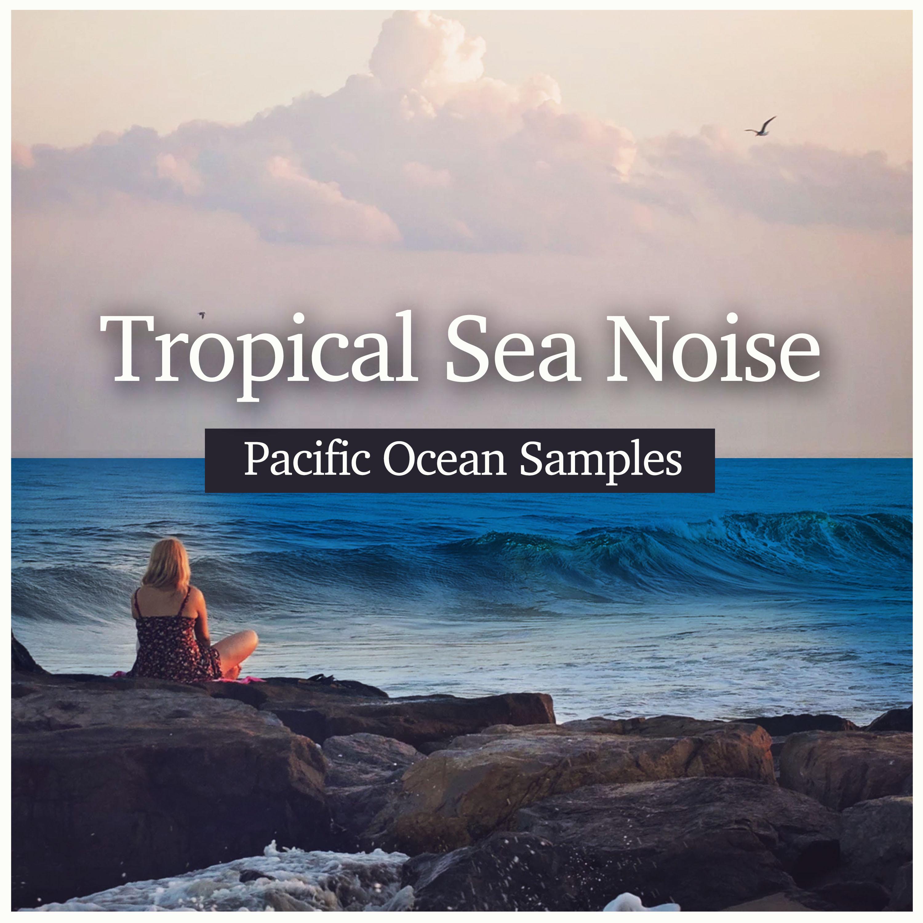 Slowly Lapping Coasts - pacific ocean Samples - 单曲 - 网易云音乐