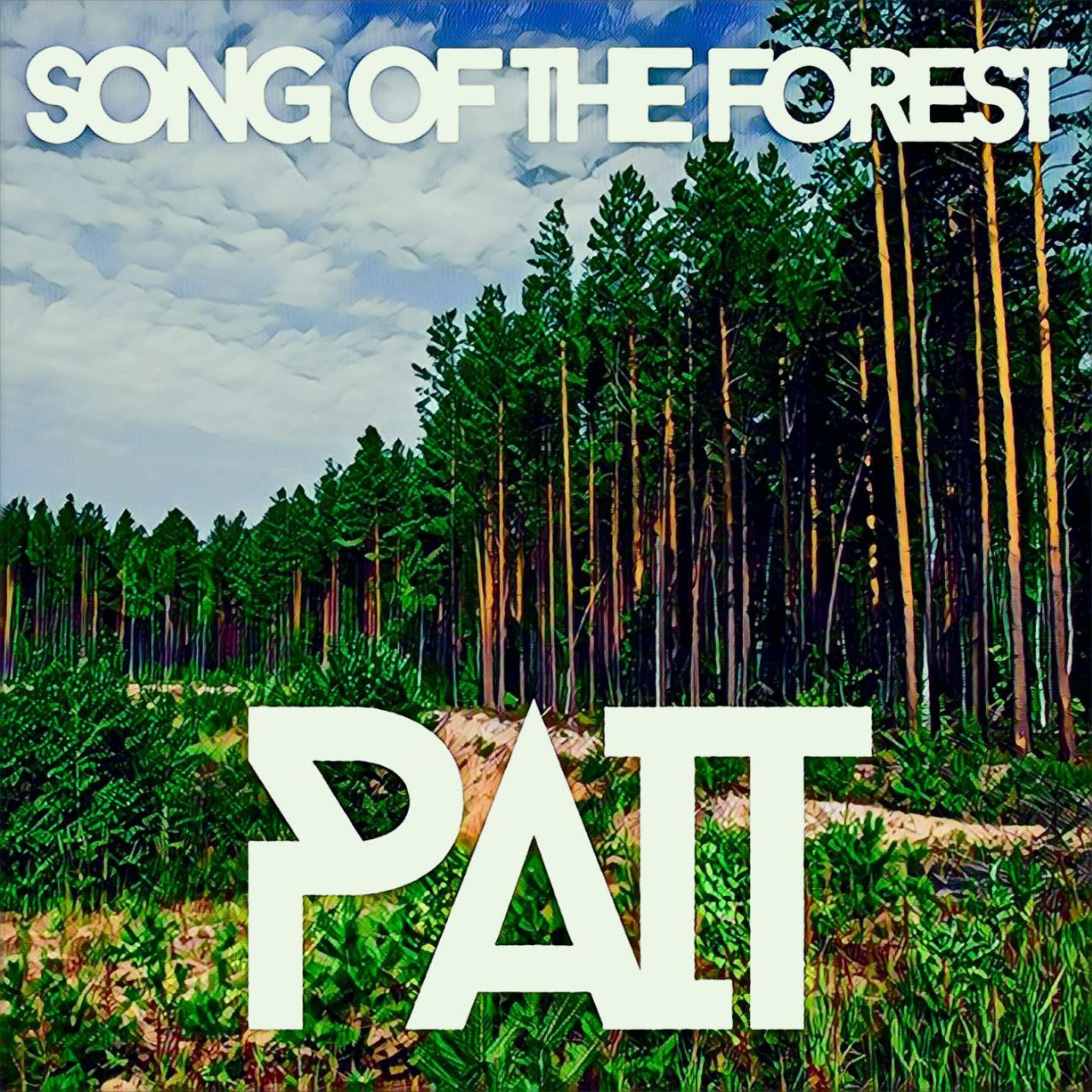 Song Of The Forest - Pait - 专辑 - 网易云音乐