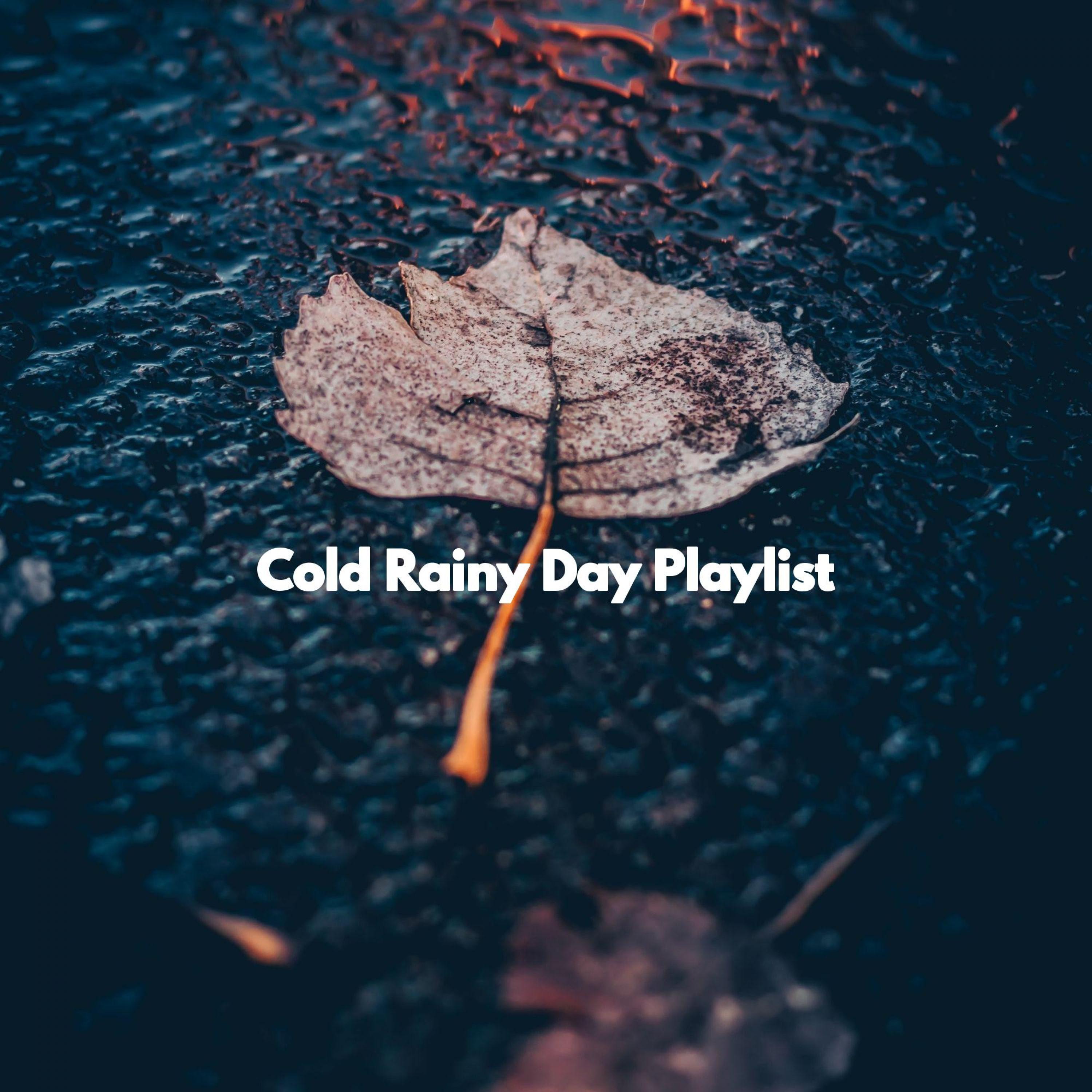 Cold Rainy Day Playlist - Jazz Rilassante Playlists - 专辑 - 网易云音乐