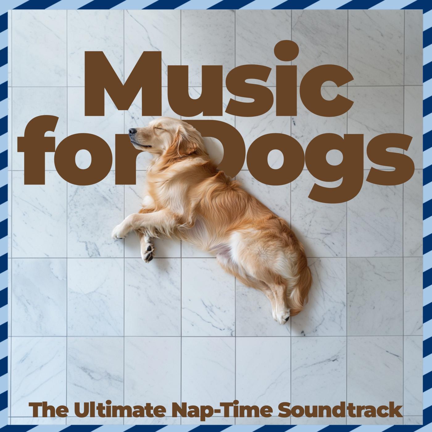 Midnight with Milo - Music For Dogs Peace/Puppy Music Therapy/Relax My ...