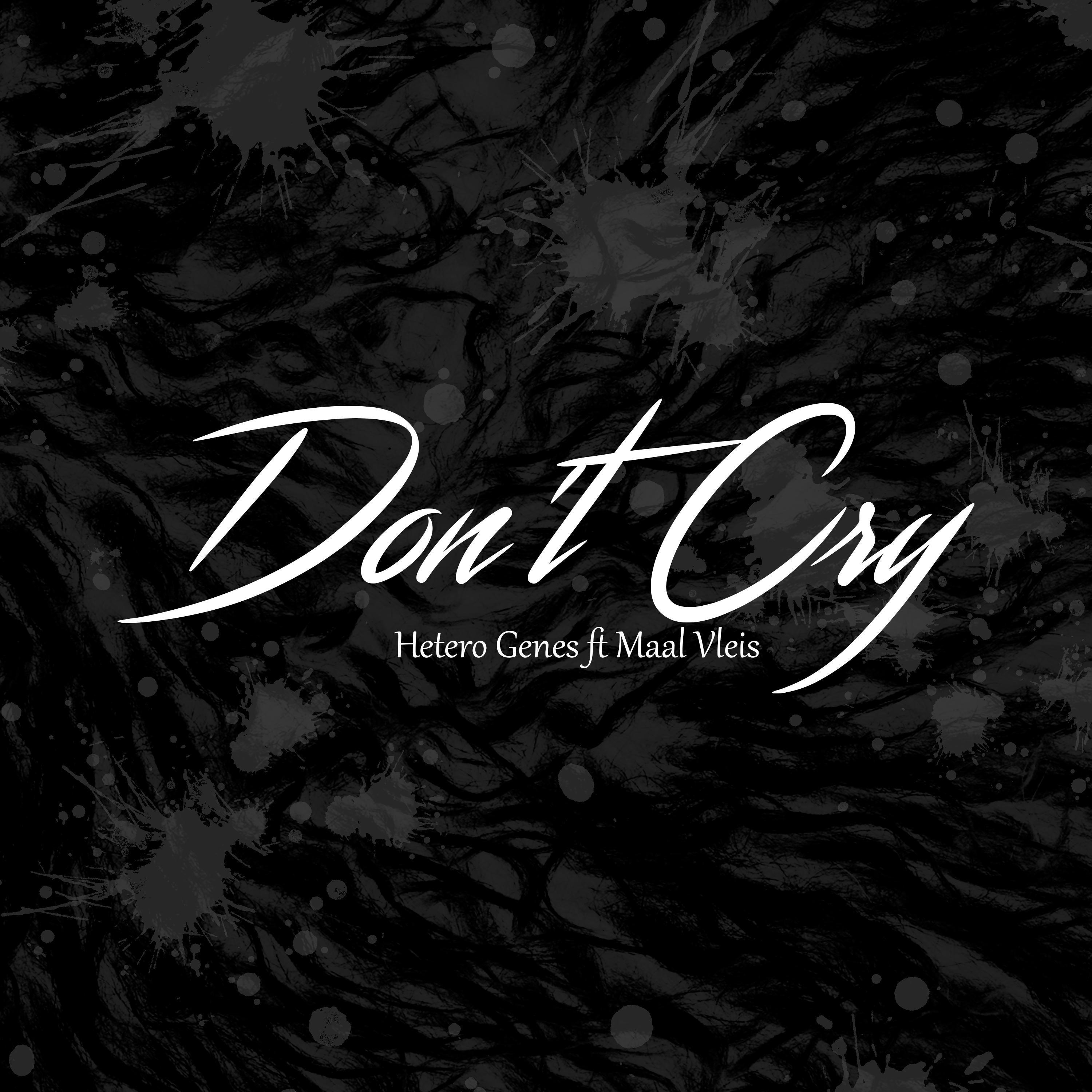 Don't Cry (feat. Maal Vleis) - Hetero Genes - 专辑 - 网易云音乐