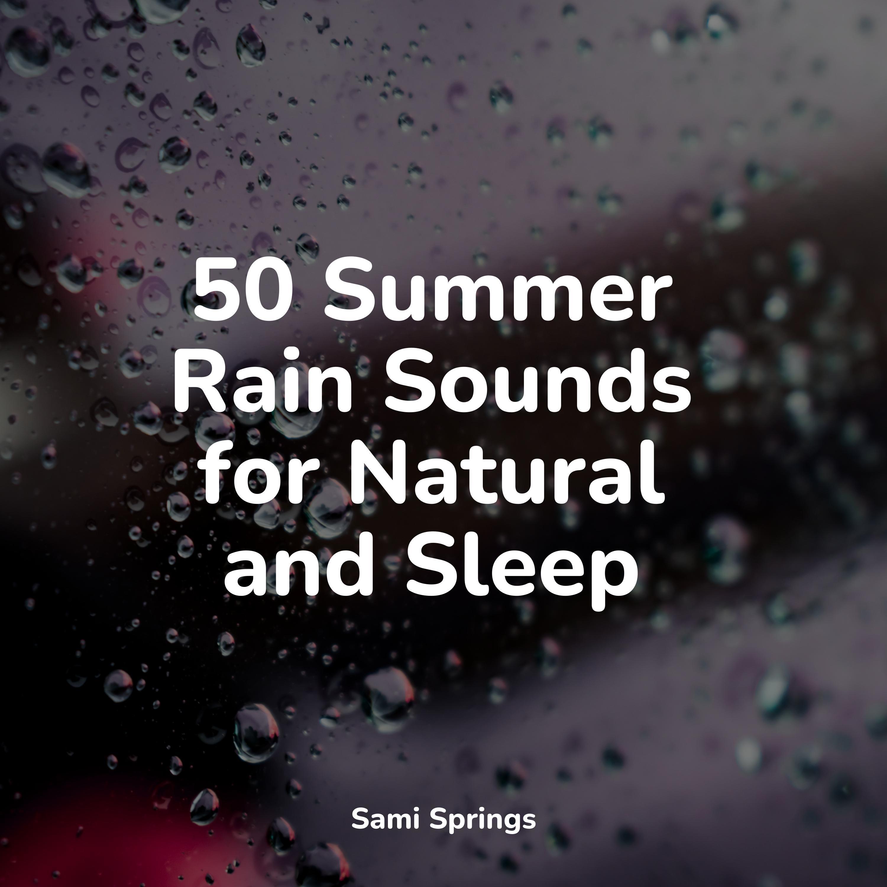 50 Summer Rain Sounds for Natural and Sleep - Nature Sounds - 专辑 - 网易云音乐