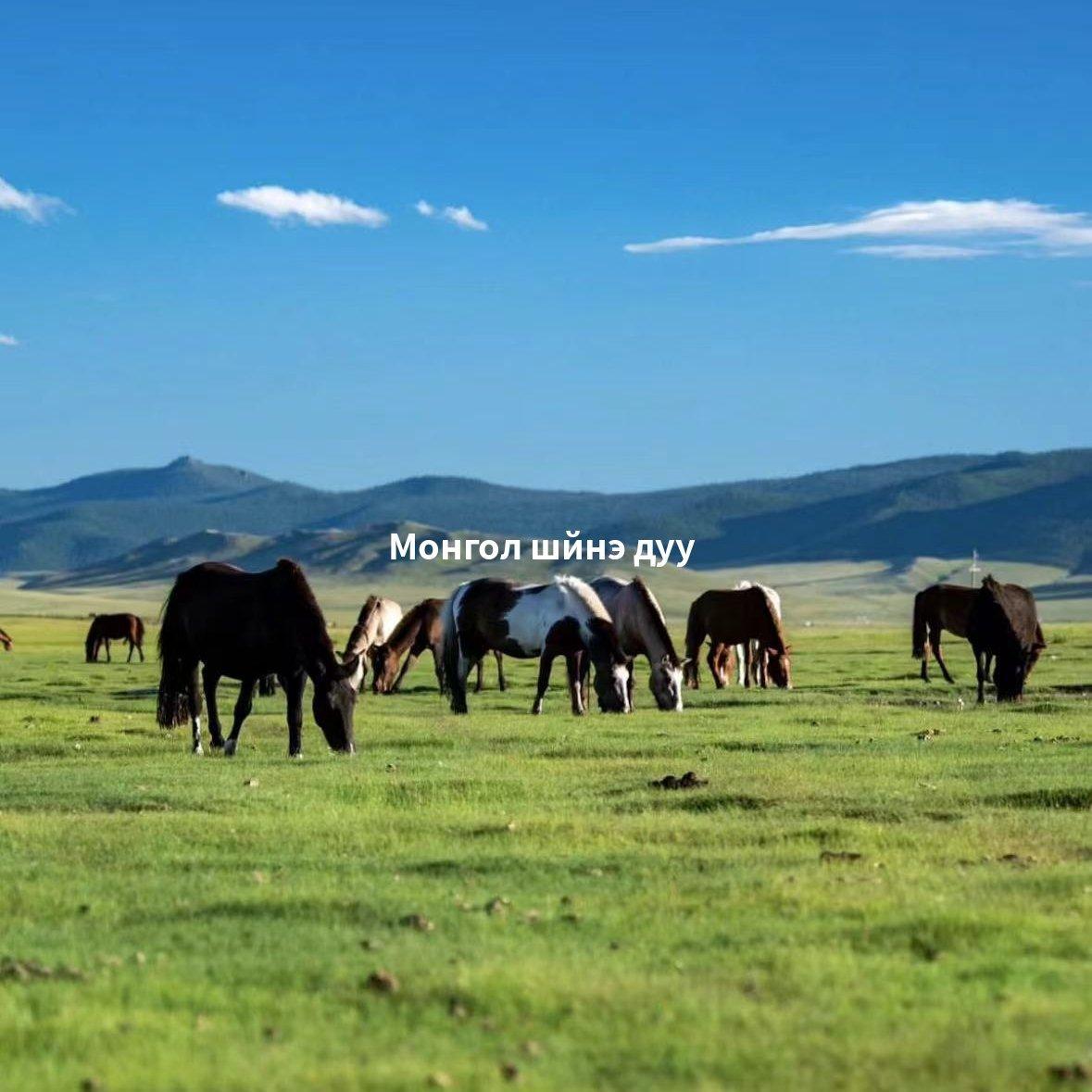 Hurtai zunii ayalguu - Монгол шйнэ дуу - 电台节目 - 网易云音乐
