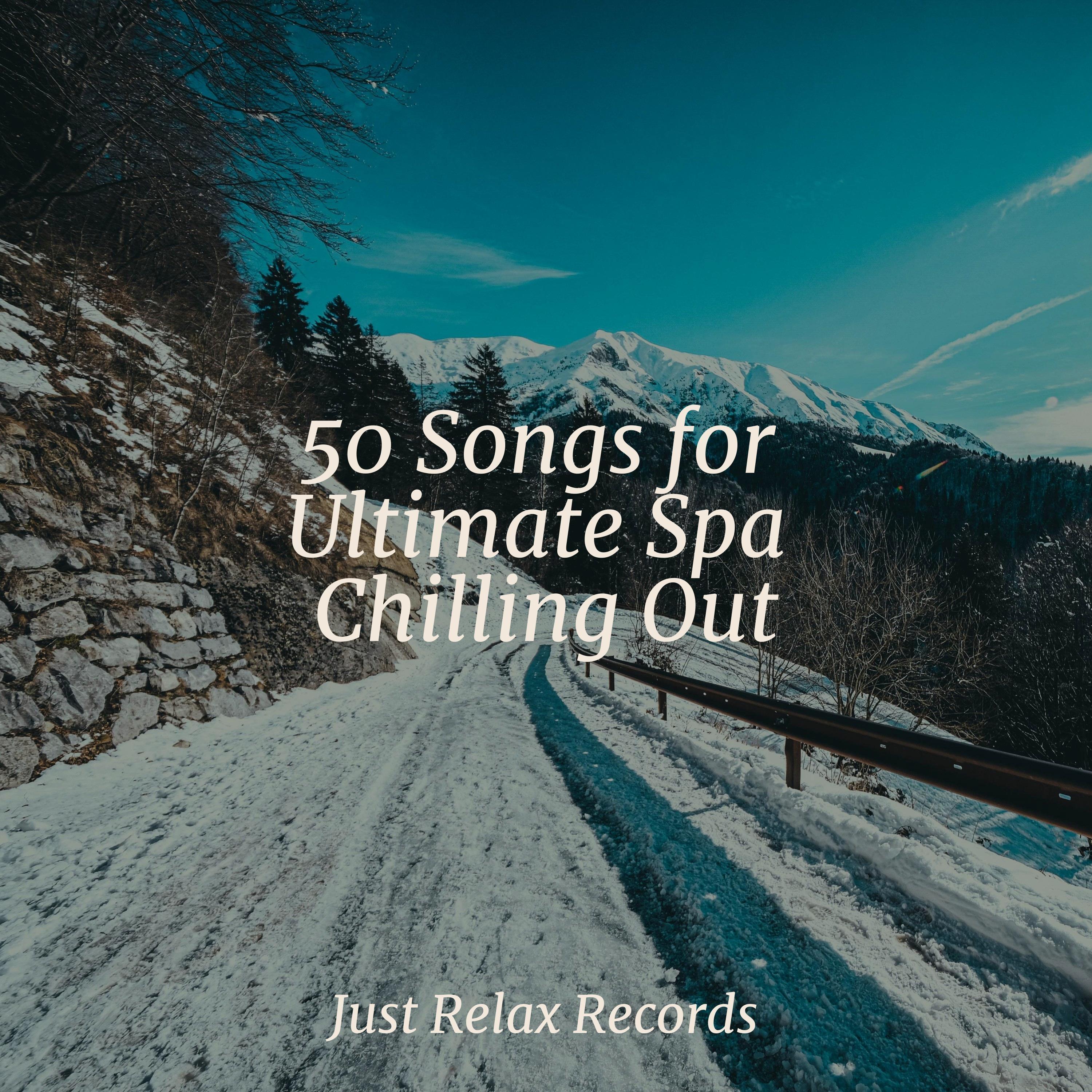 50 Songs for Ultimate Spa Chilling Out - Spa - 专辑 - 网易云音乐