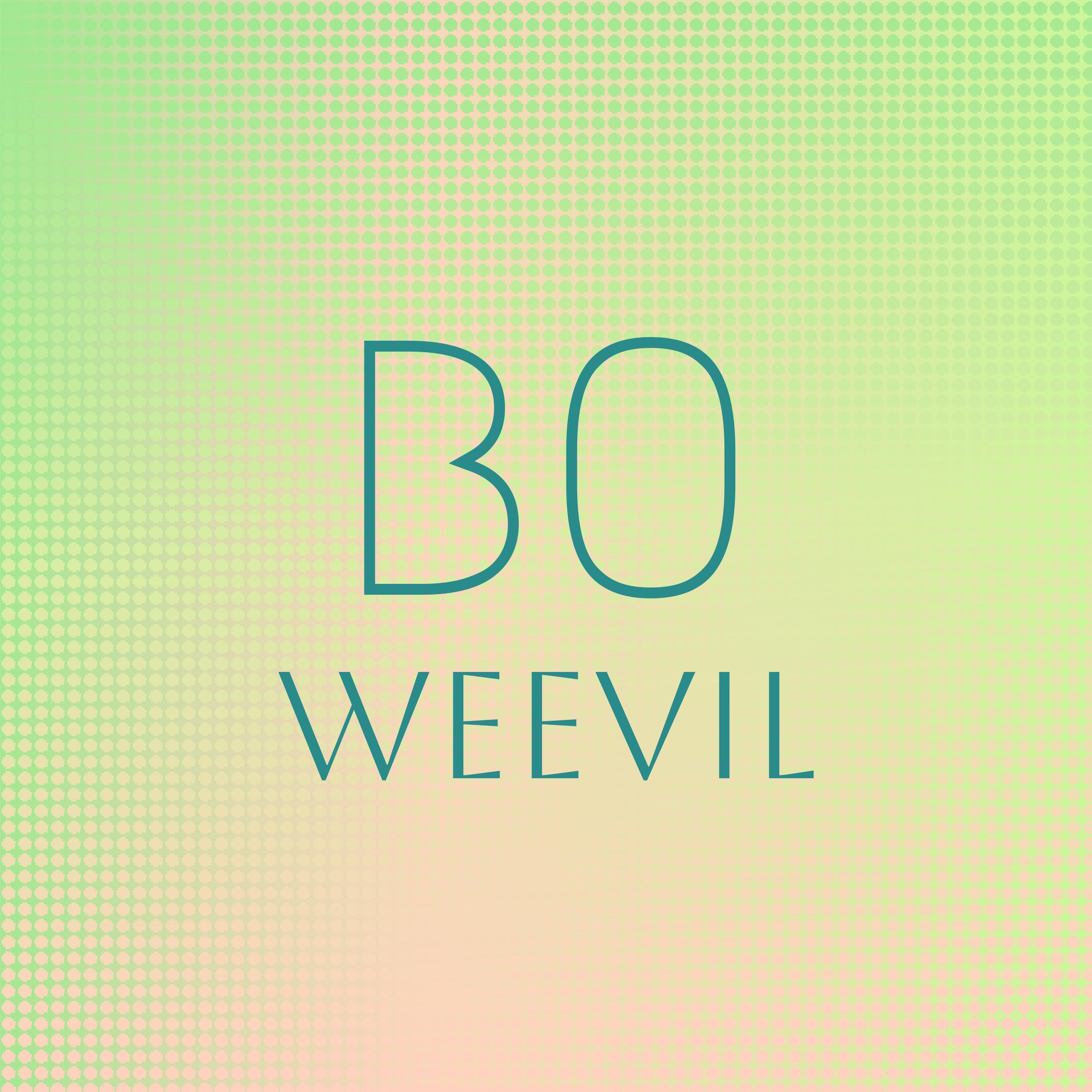 Bo Weevil - Various Artists - 专辑 - 网易云音乐