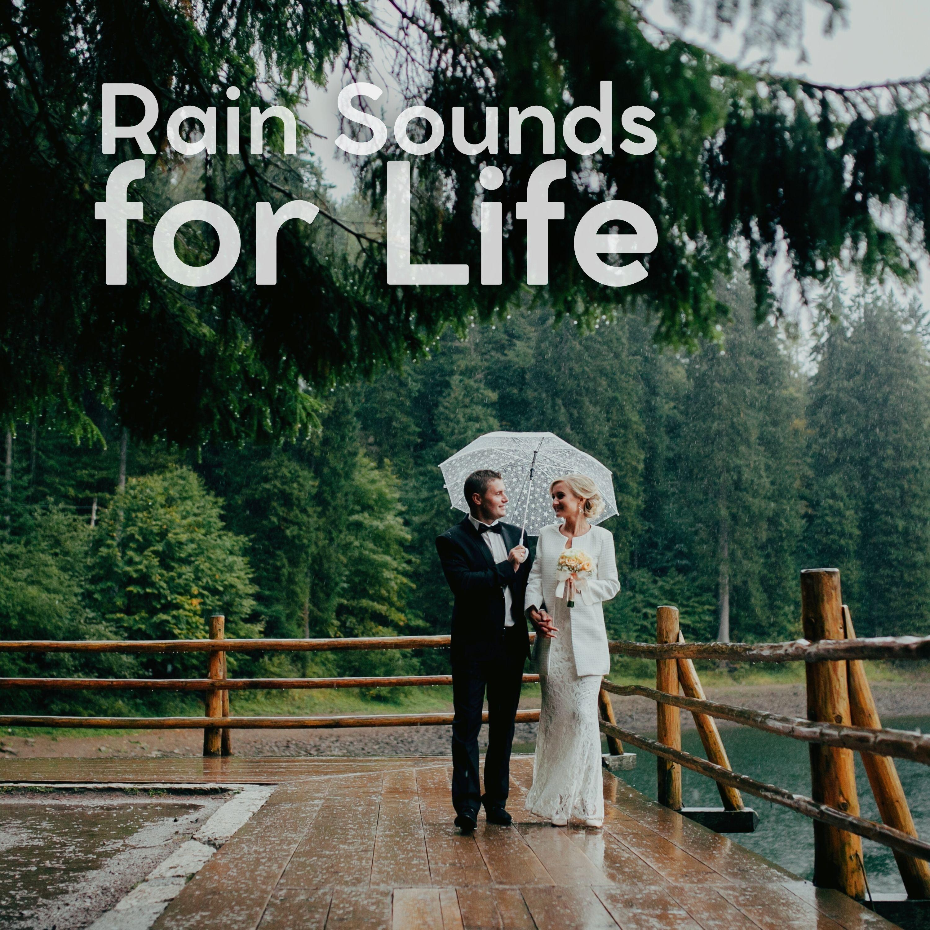 Preen Rain, Pt. 1 - Natsound - 单曲 - 网易云音乐