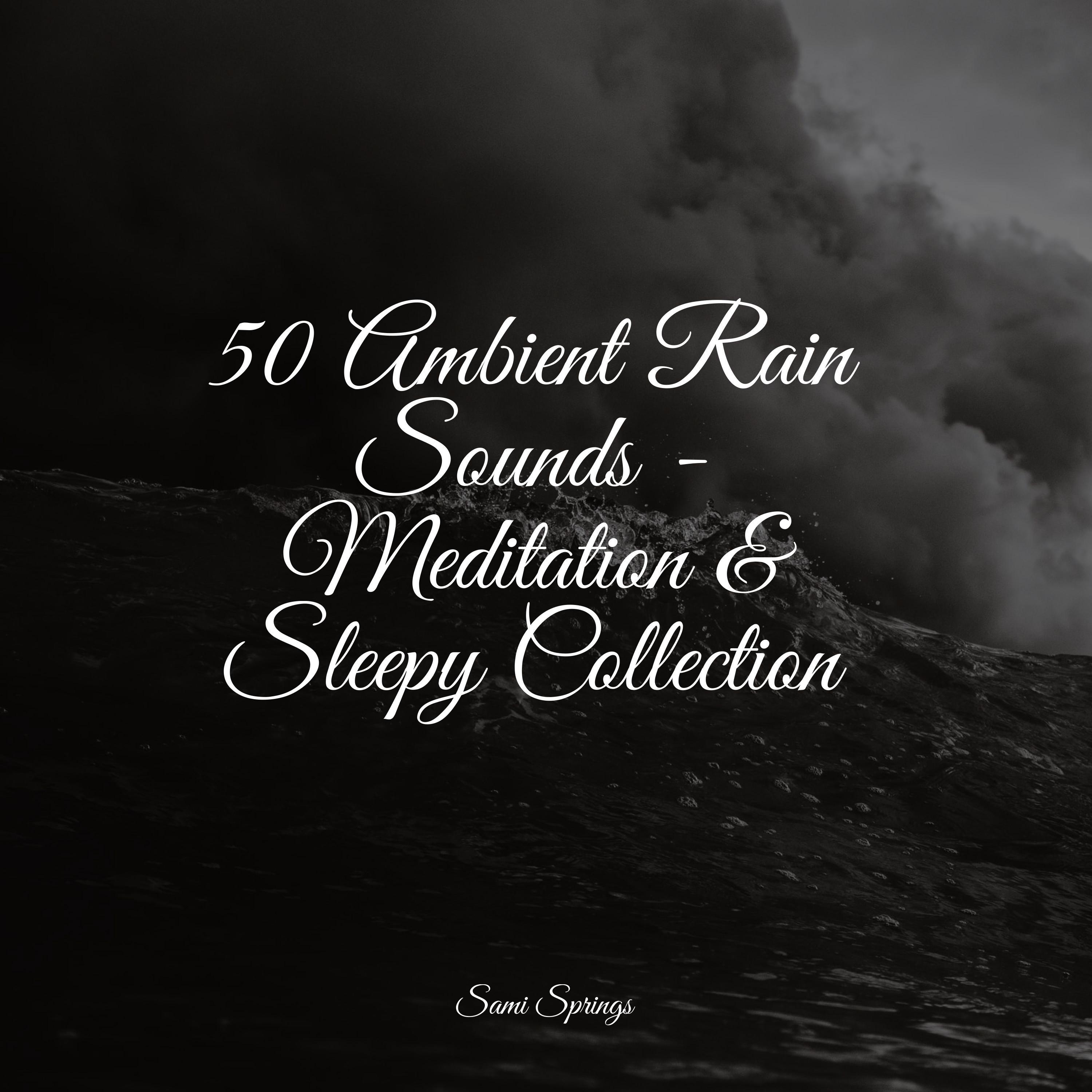 Soft Window Rains - Meditation Relaxation Club/Ready Baby Music!/Mother ...