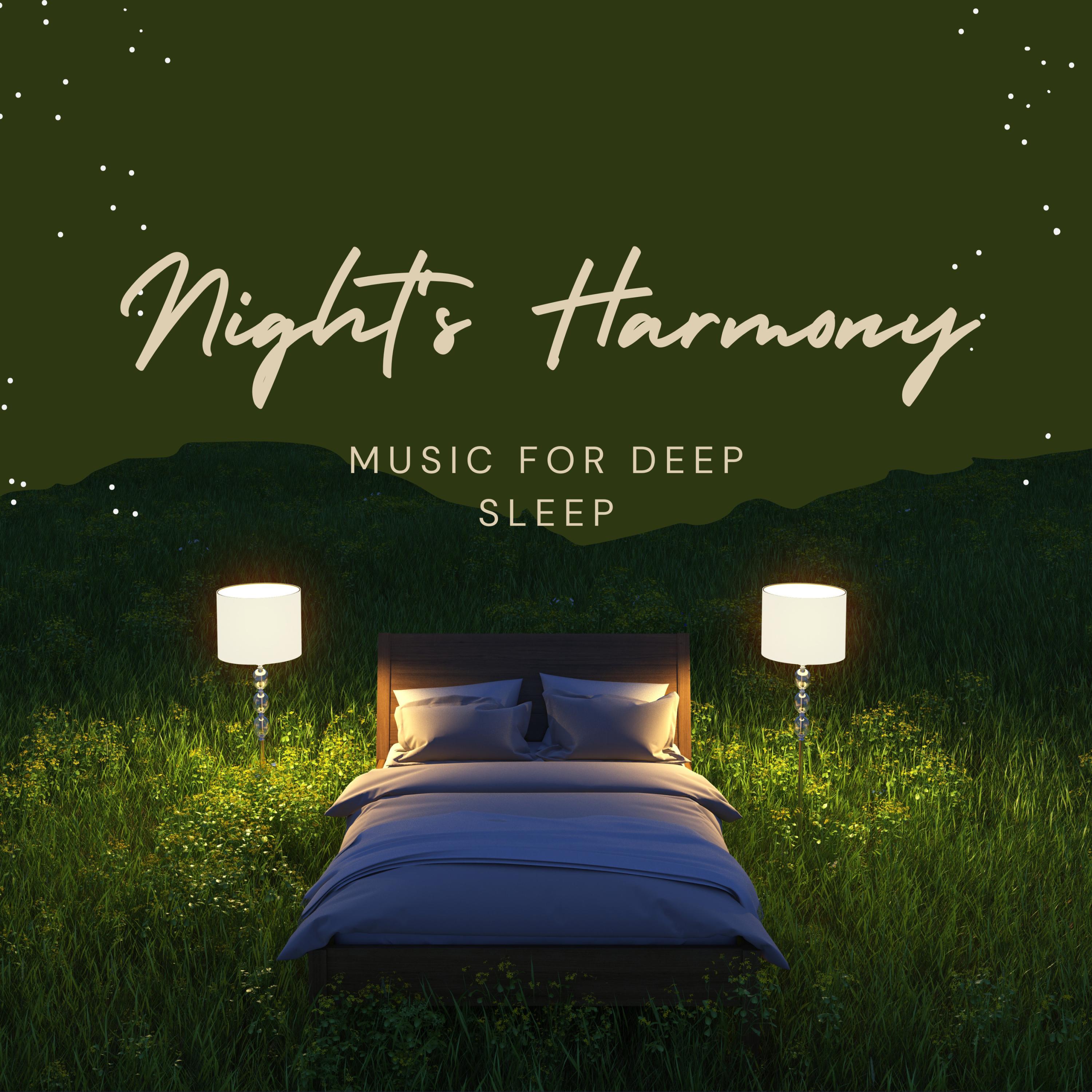 Starry Night Music for Gentle Sleep - Silent Night Music/SAD MUSIC ...