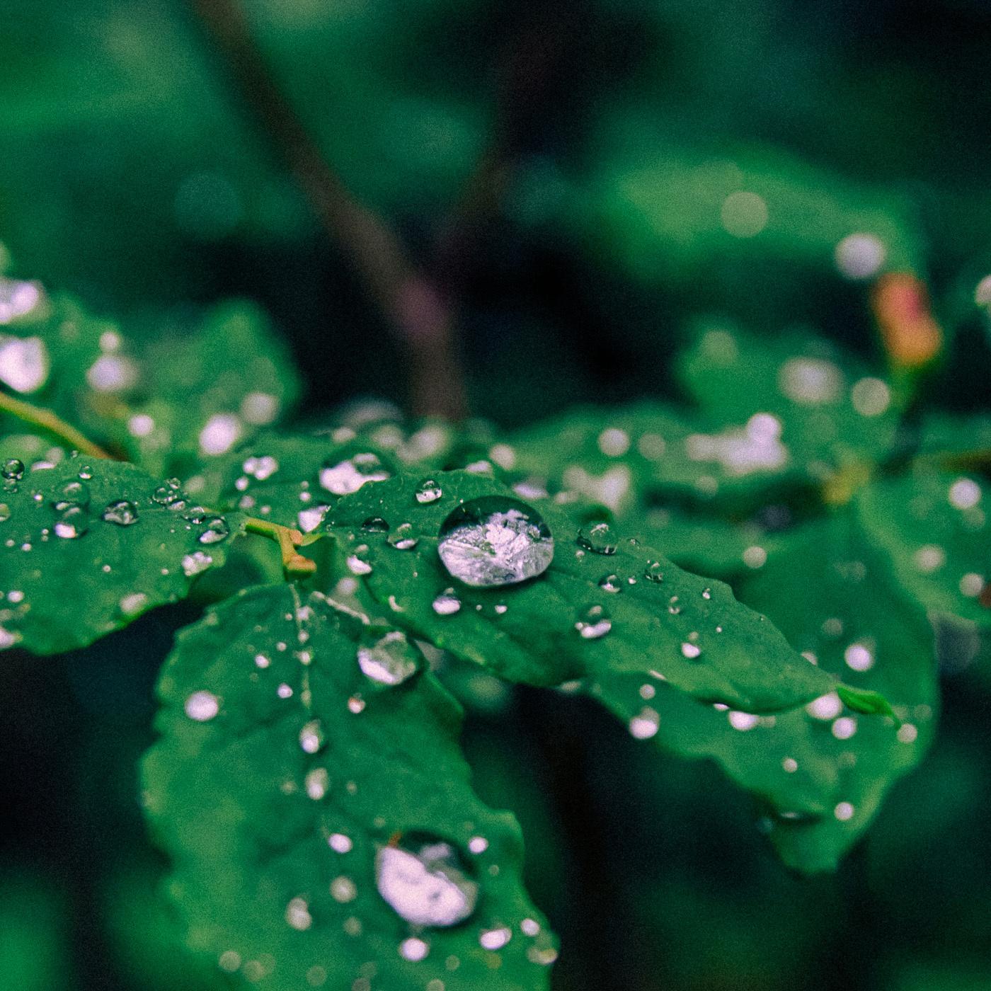 Dark Clouds - Meditation Rain Sounds/Rain for Deep Sleep/Rain Sounds ...