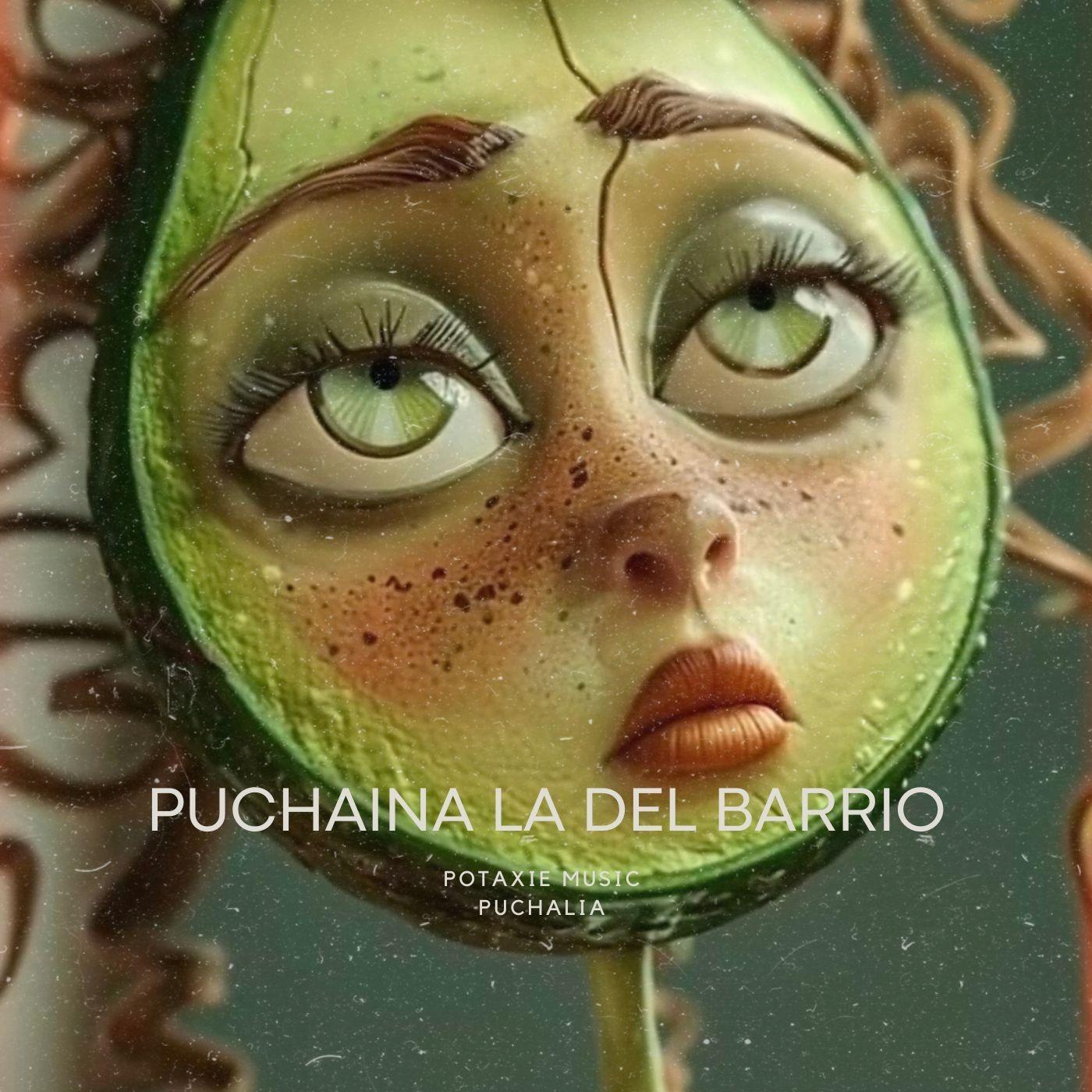Puchaina La Del Barrio - Potaxie Music/puchalia - 单曲 - 网易云音乐