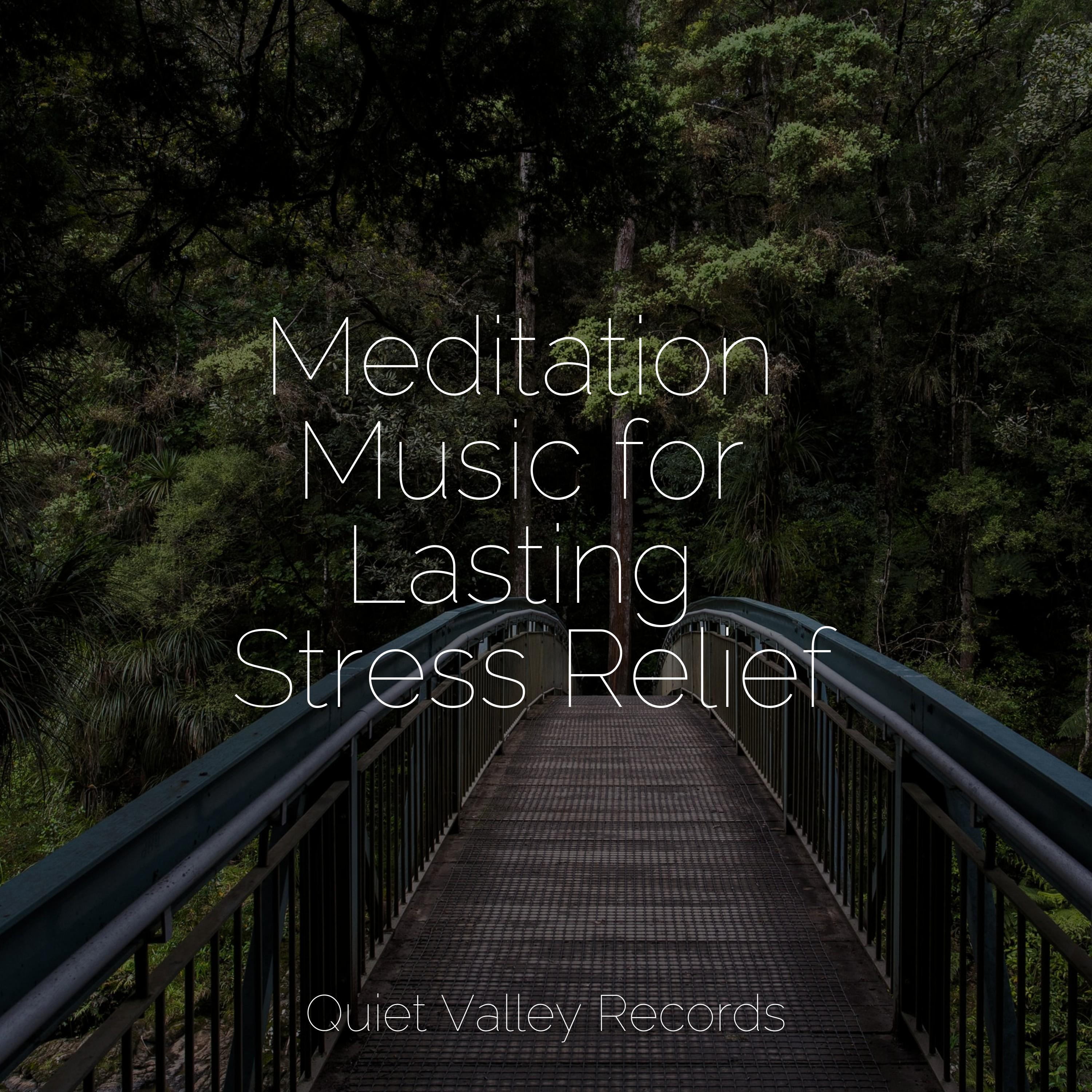 Meditation Music for Lasting Stress Relief - Natural Samples - 专辑 - 网易云音乐
