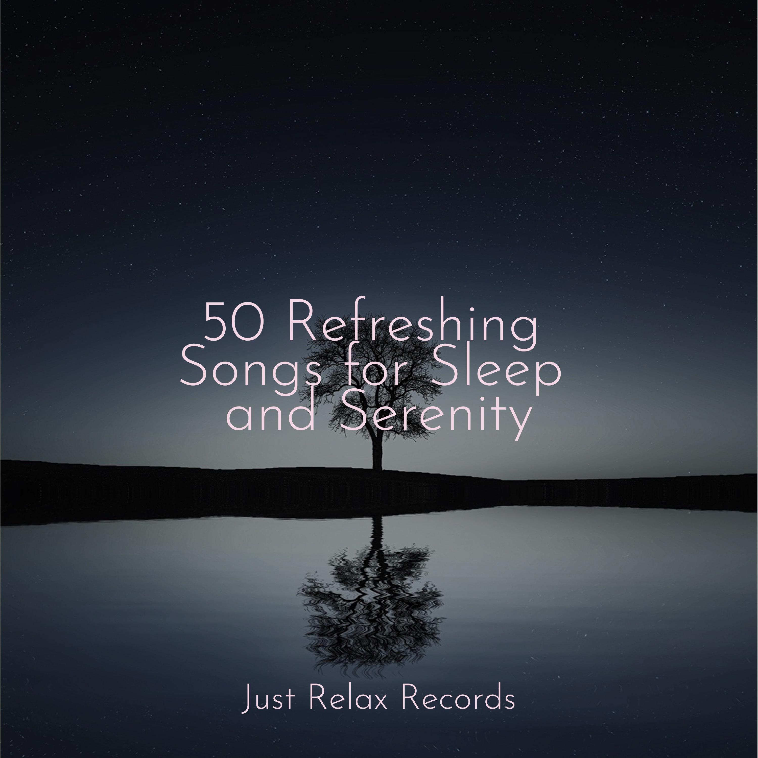 50 Refreshing Songs for Sleep and Serenity - Sleepy Night Music - 专辑 ...