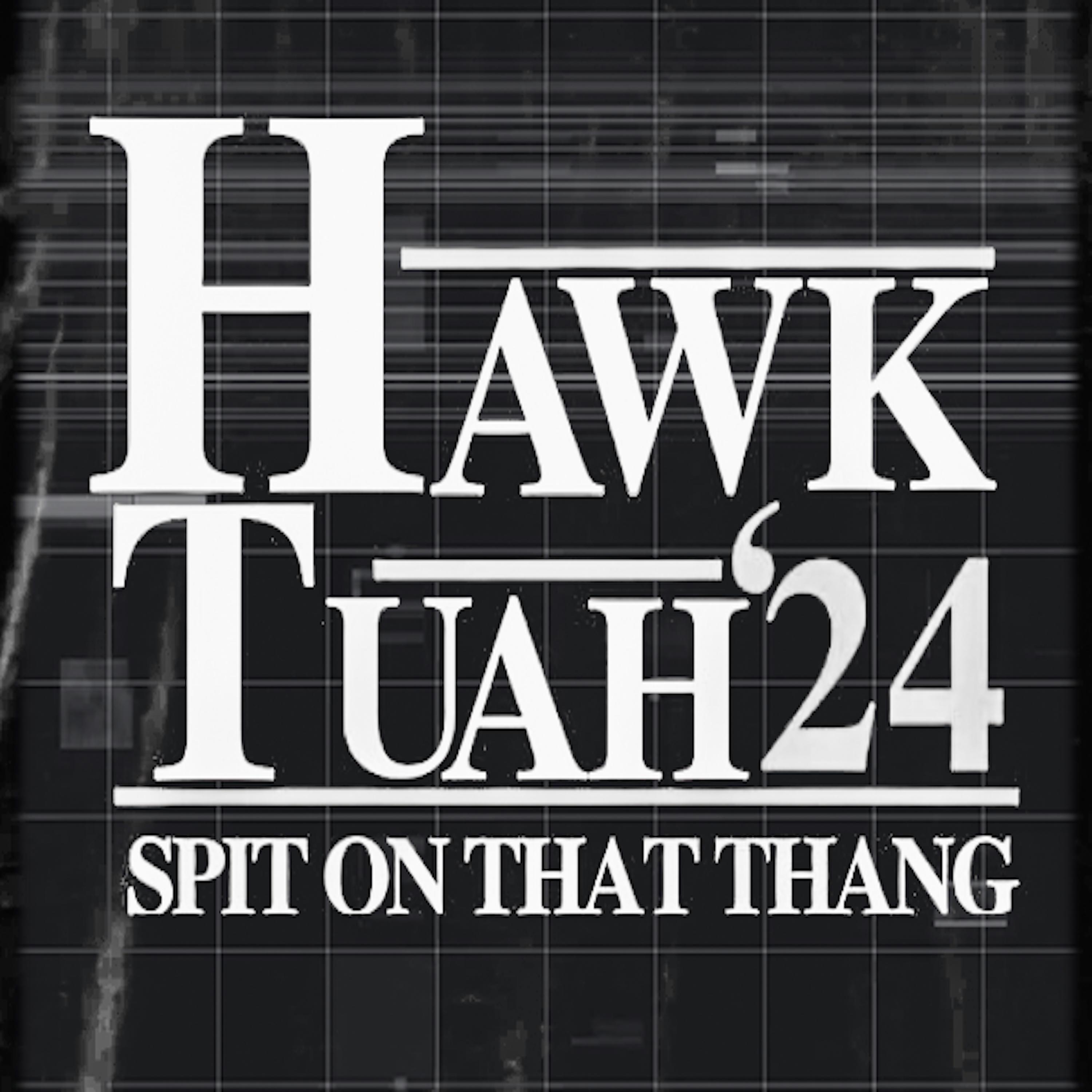 Hawk Tuah - LectrO cOd_E - 单曲 - 网易云音乐