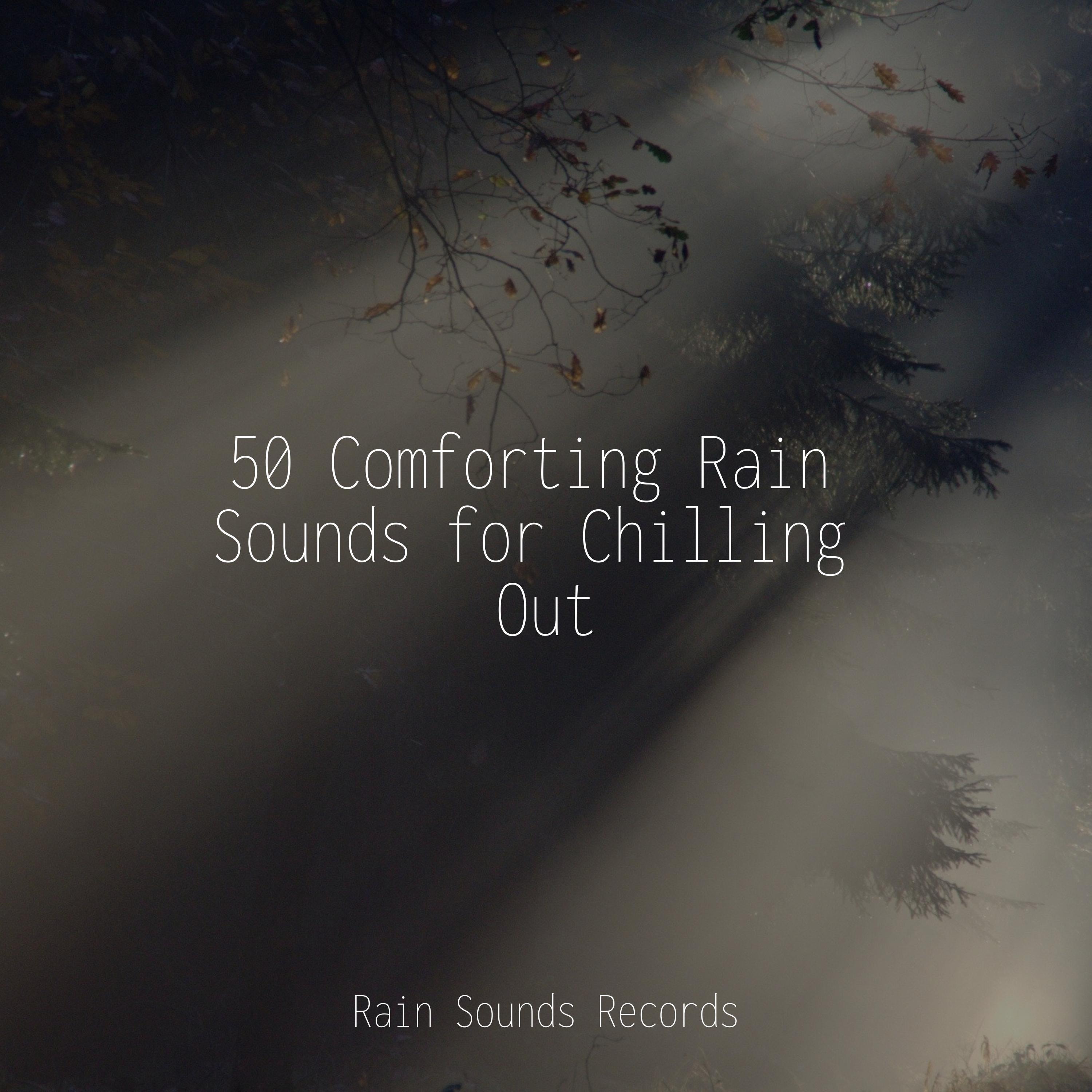 50 Comforting Rain Sounds for Chilling Out - Nature Sounds Nature Music ...