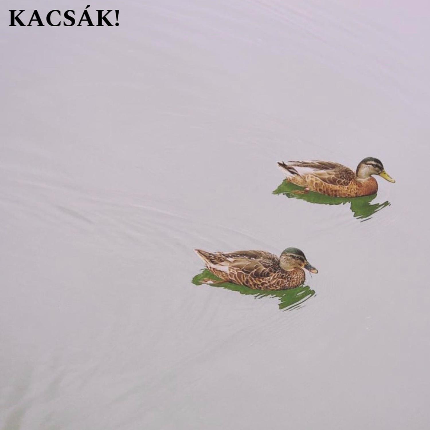 Kacsák! - Arti - 单曲 - 网易云音乐