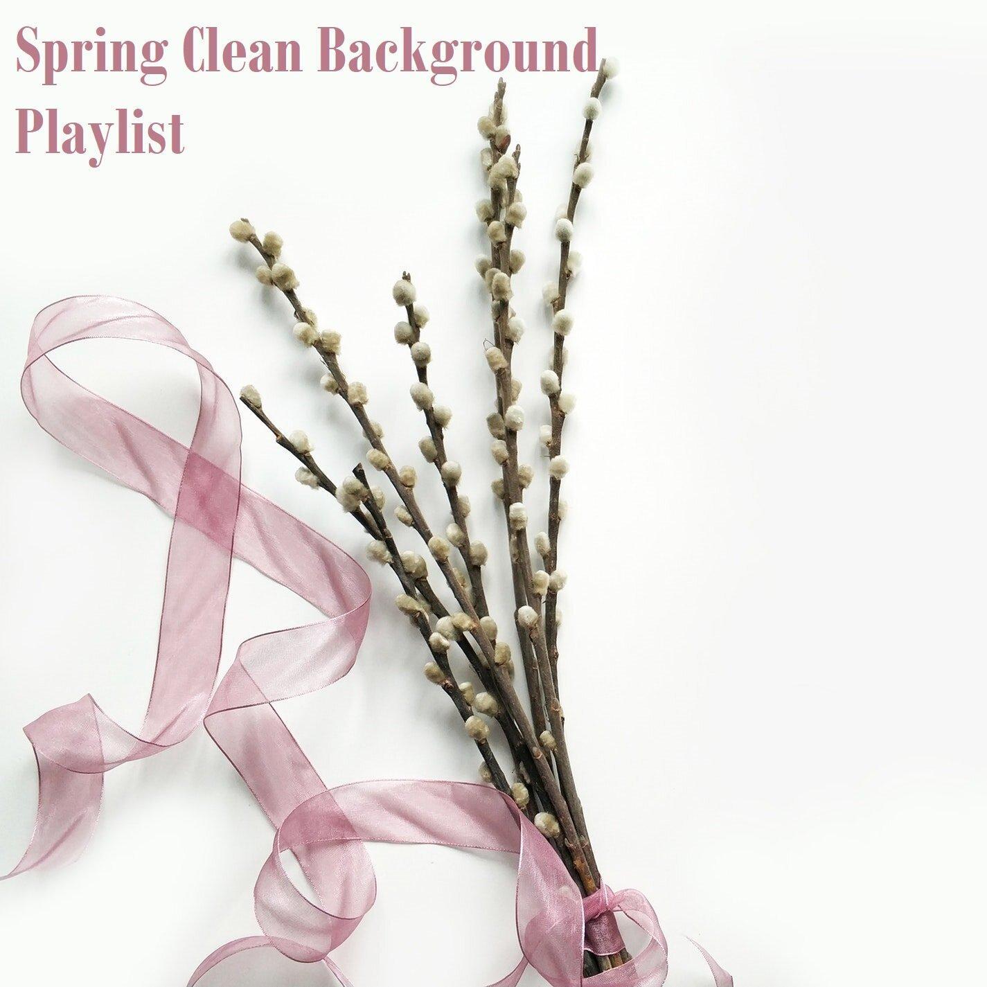 Spring Clean Music - Spring Clean Background Playlist - 单曲 - 网易云音乐