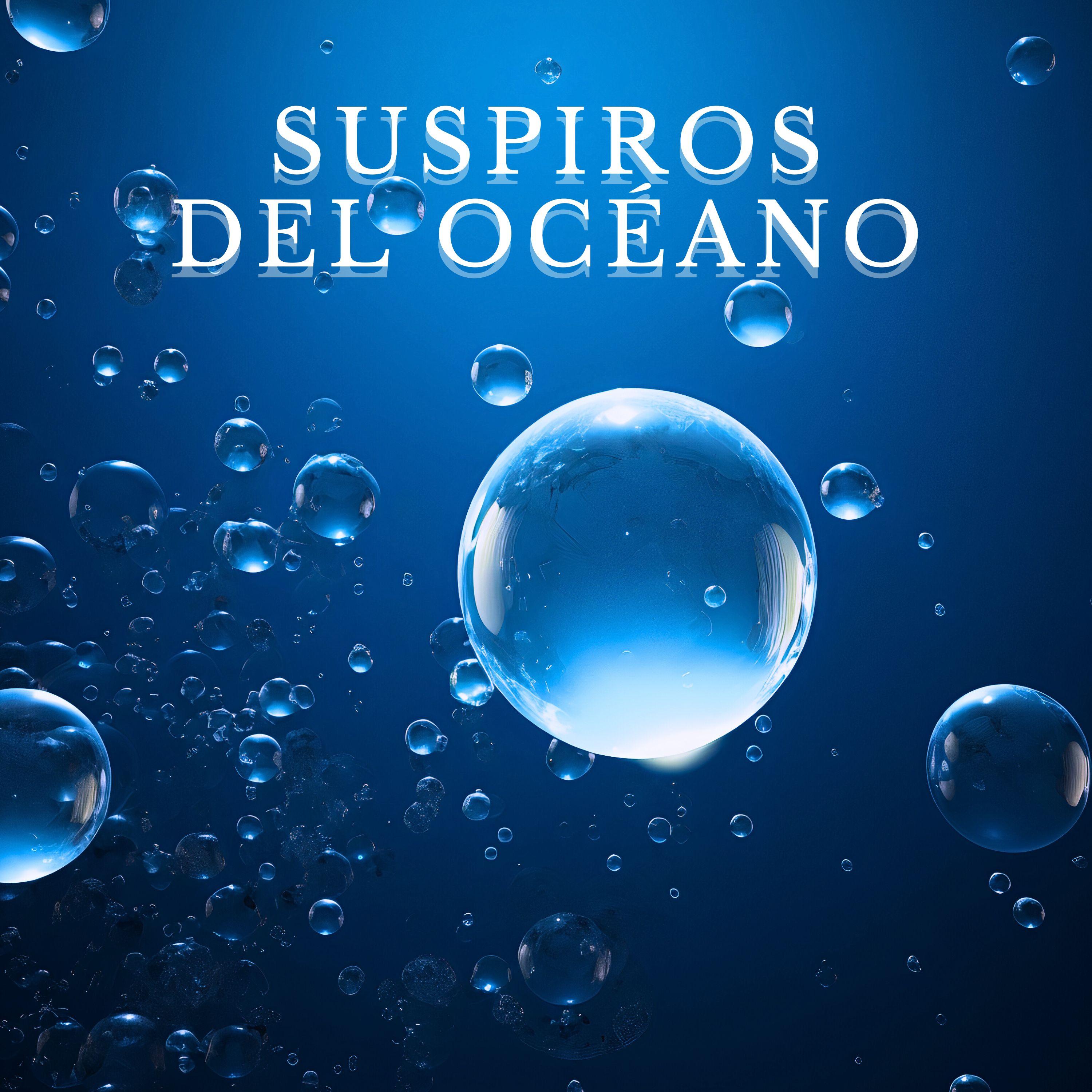 Suspiros del Océano - Sonido de Las Olas Del Mar - 专辑 - 网易云音乐