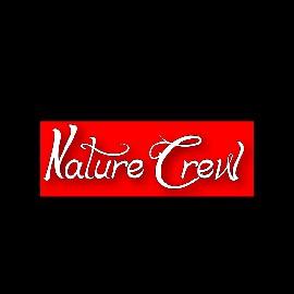 台州说唱Nature Crew自然中队 - 歌单 - 网易云音乐