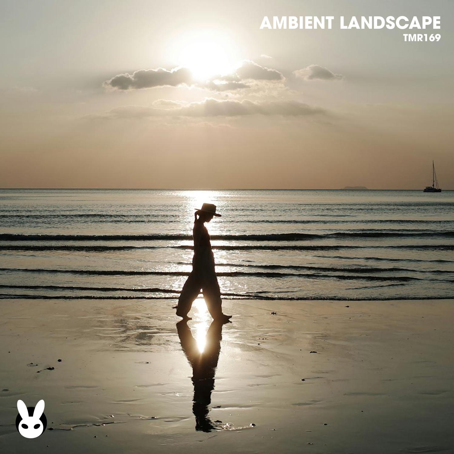 Ambient Landscape - Various Artists - 专辑 - 网易云音乐