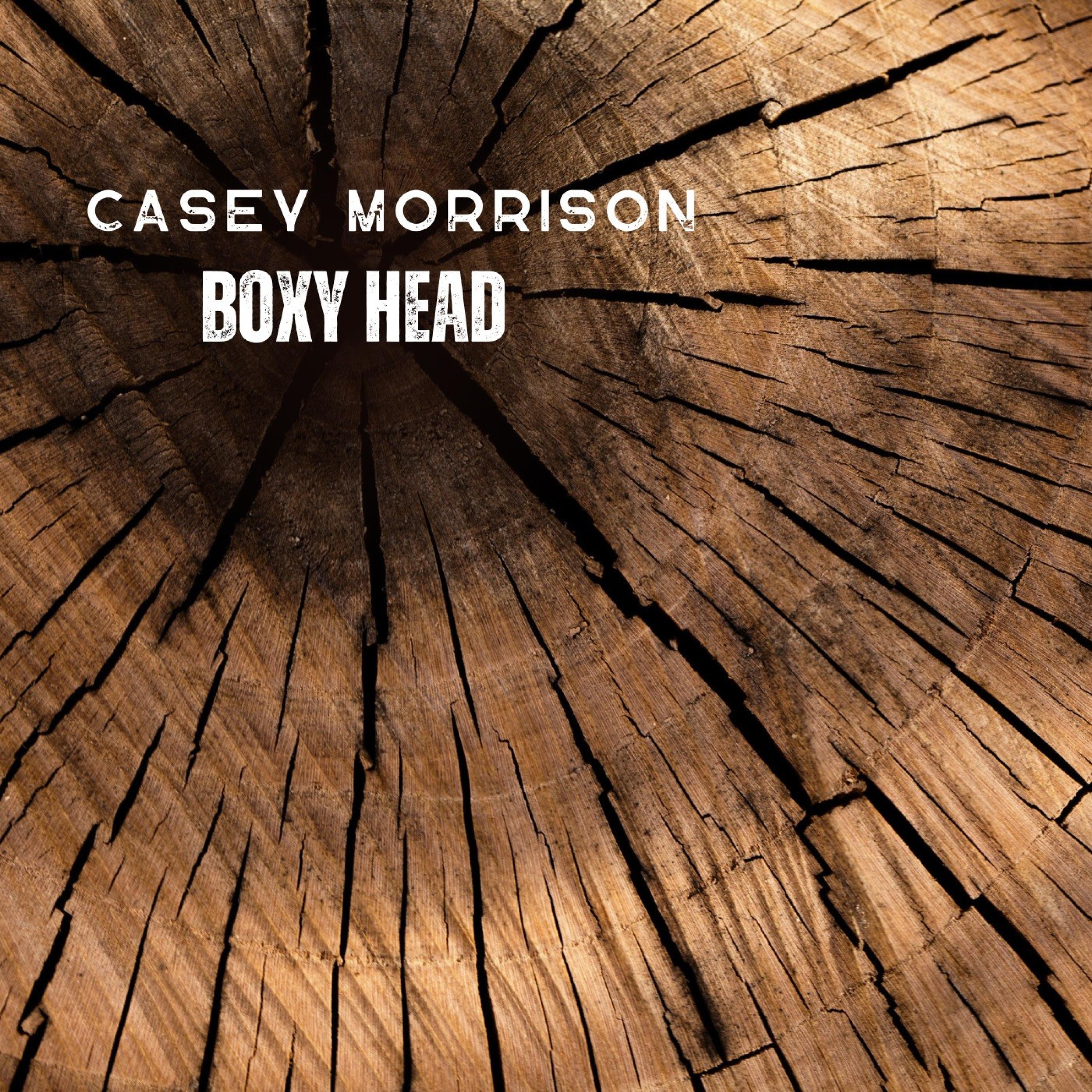 Shake It Shake It - Casey Morrison - 单曲 - 网易云音乐