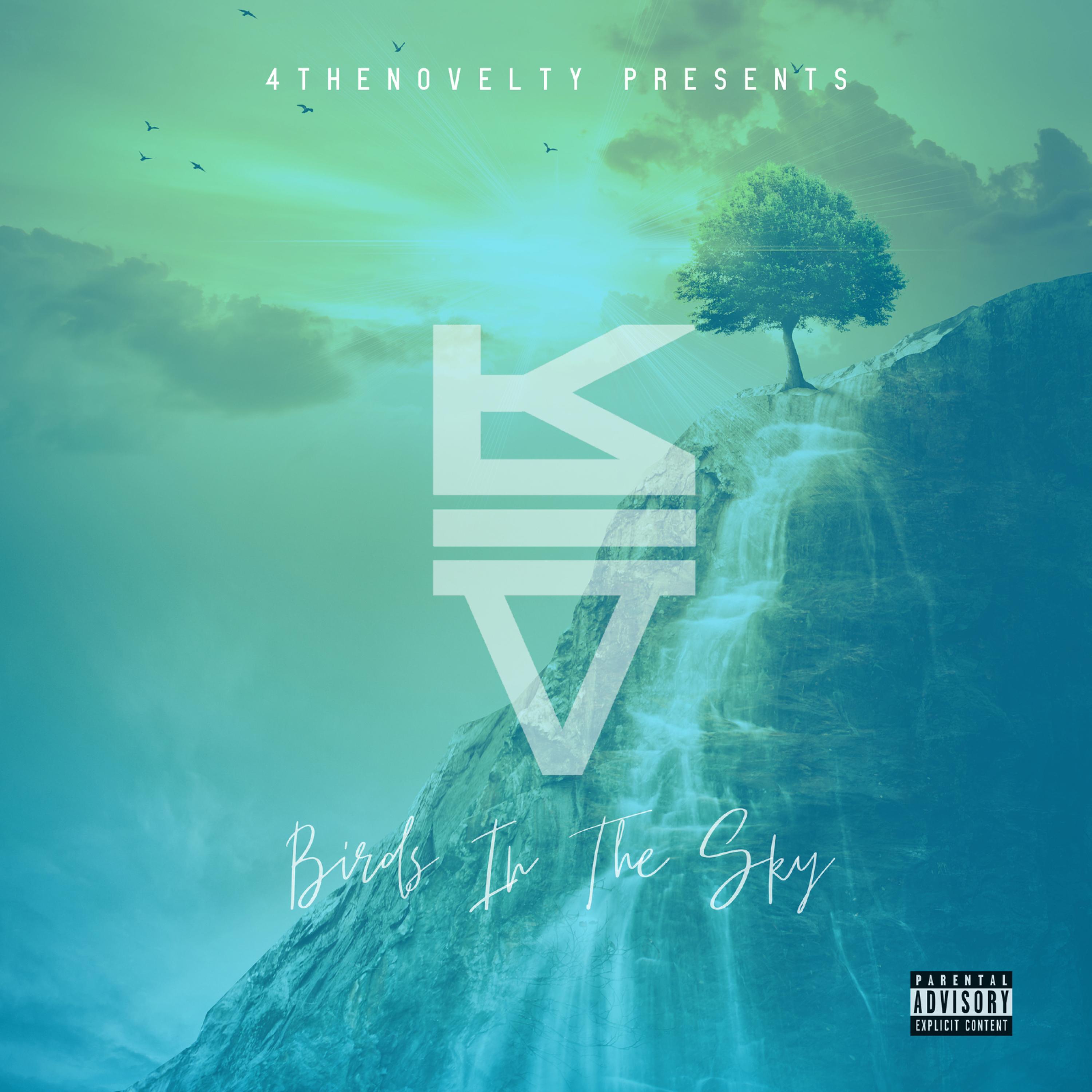 BIRDS IN THE SKY - Kev - 专辑 - 网易云音乐