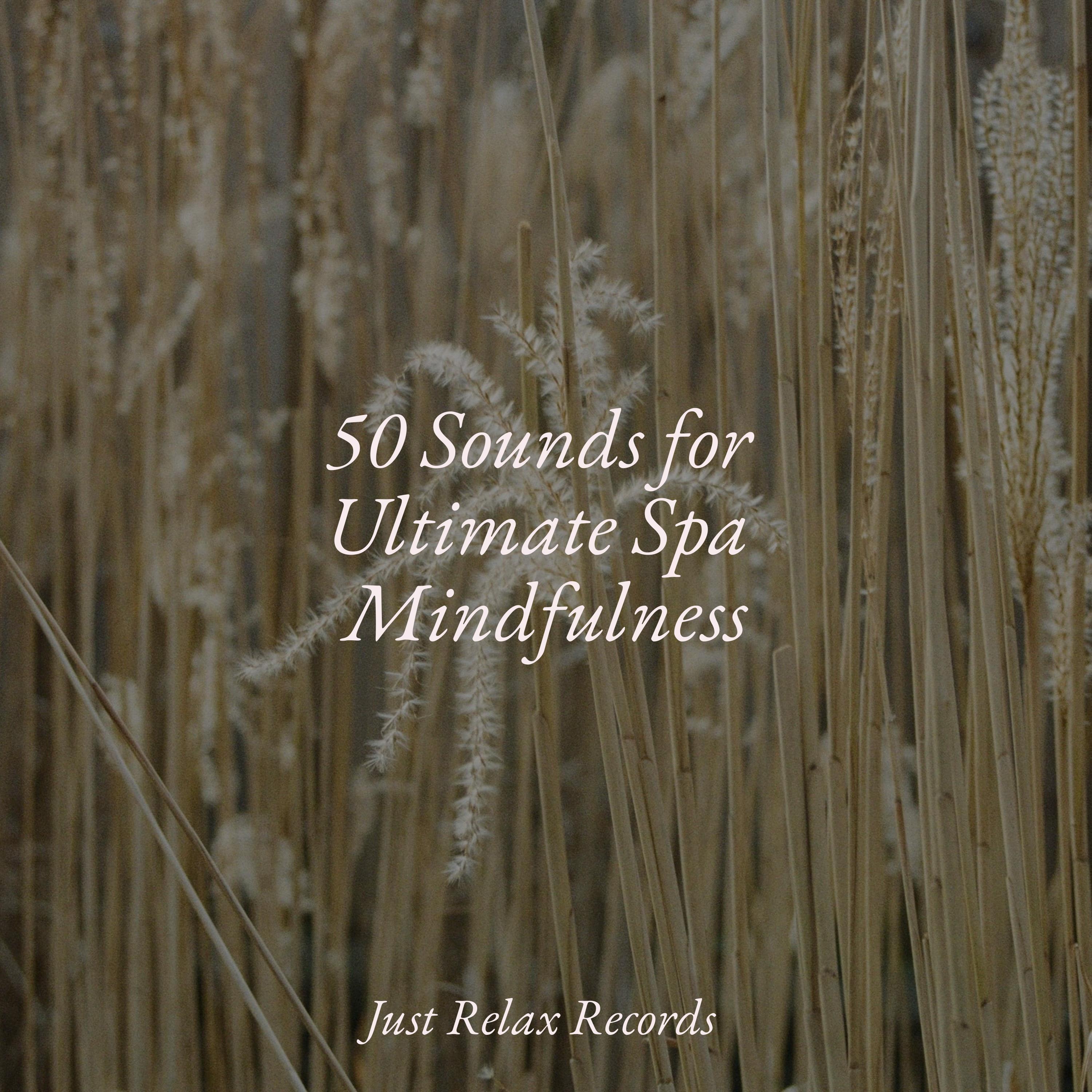 50 Sounds for Ultimate Spa Mindfulness - Meditación - 专辑 - 网易云音乐