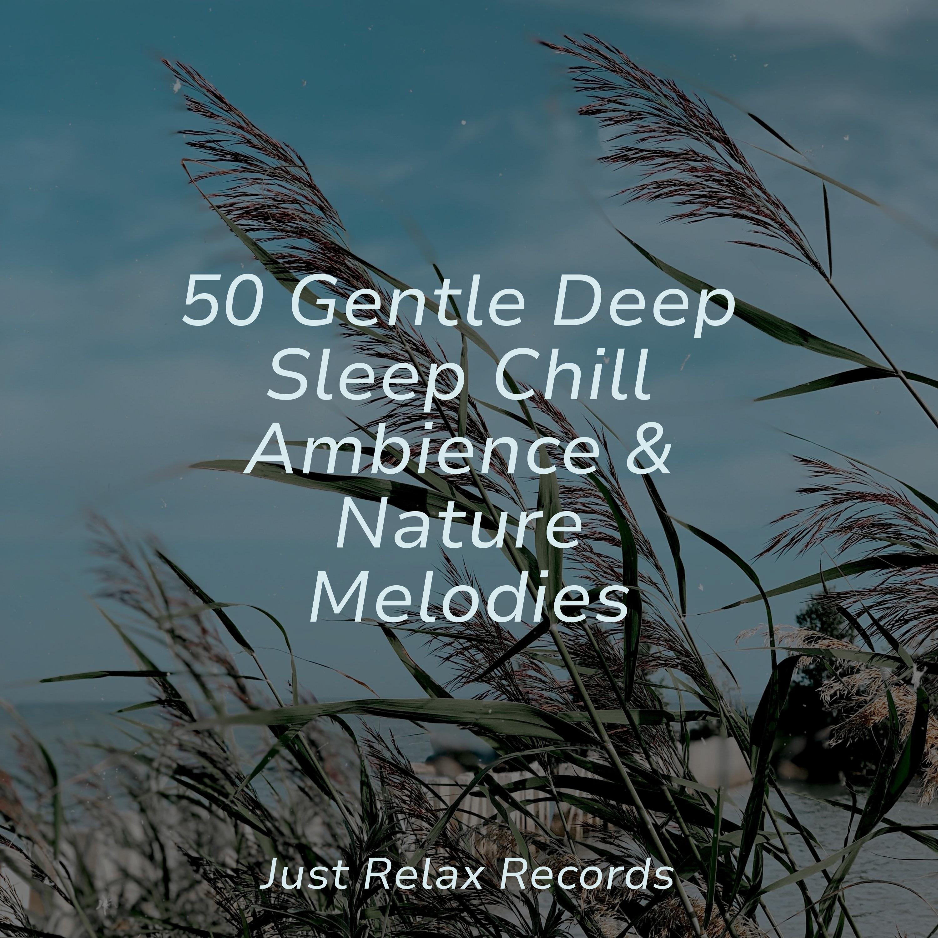 50 Gentle Deep Sleep Chill Ambience & Nature Melodies - Nature Sounds ...